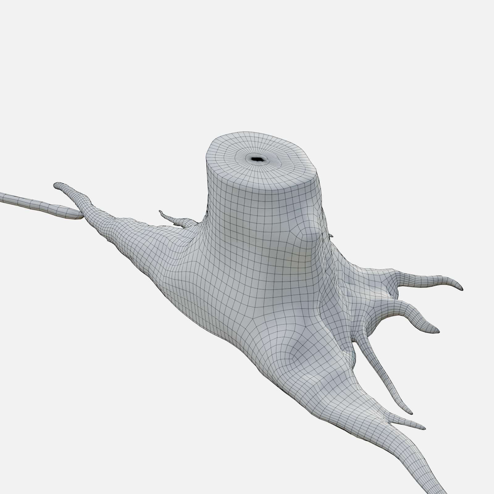 Tree Root - 3D Model by morejojo