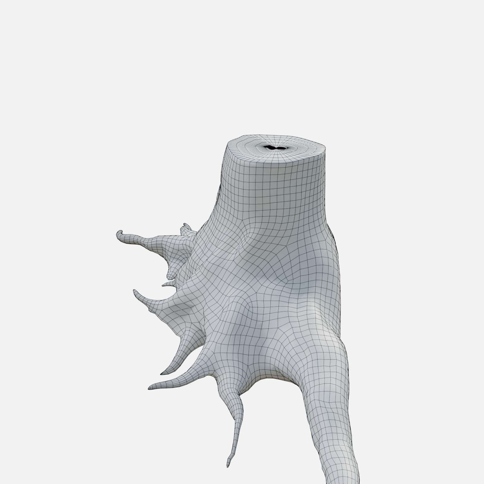 Tree Root - 3D Model by morejojo