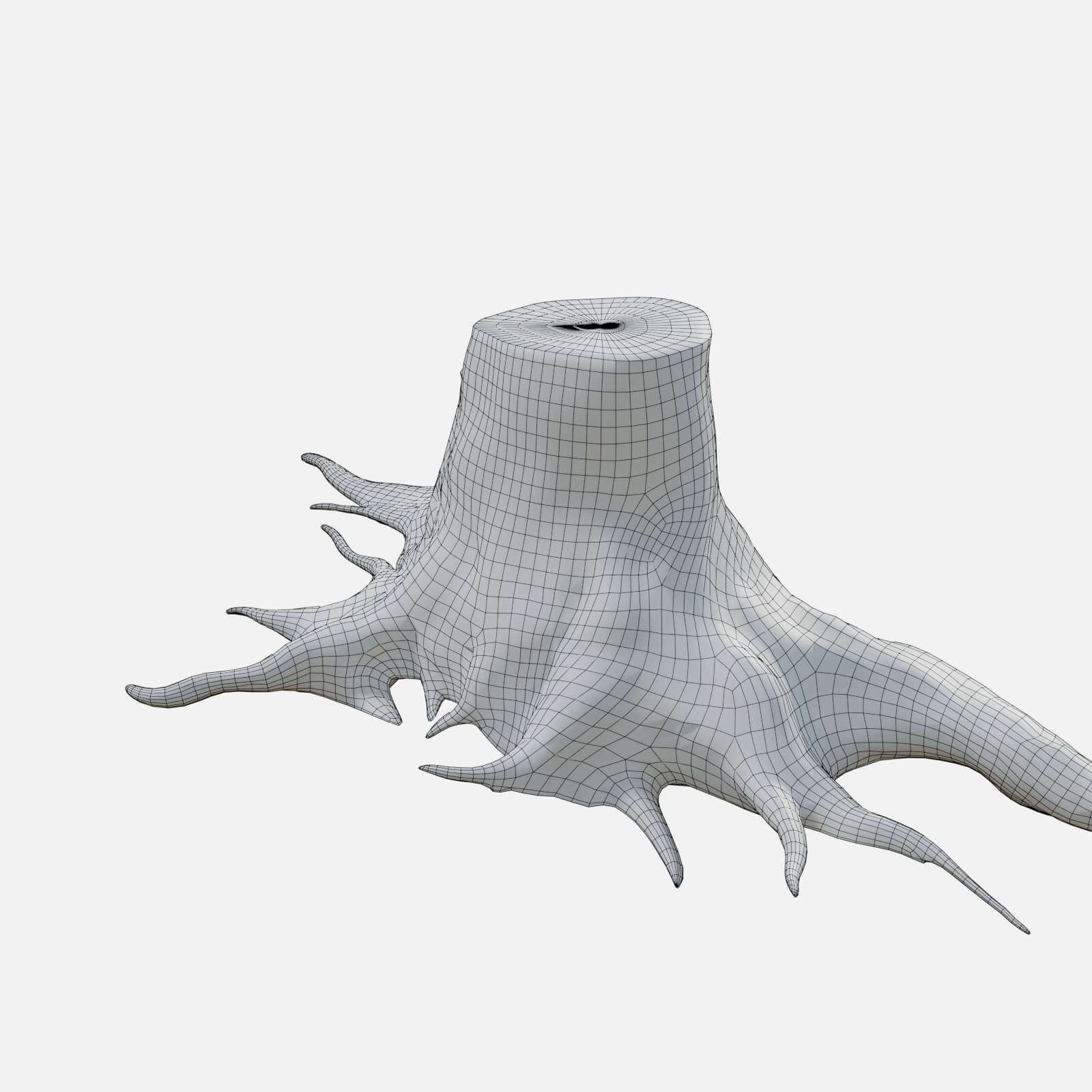 Tree Root - 3D Model by morejojo