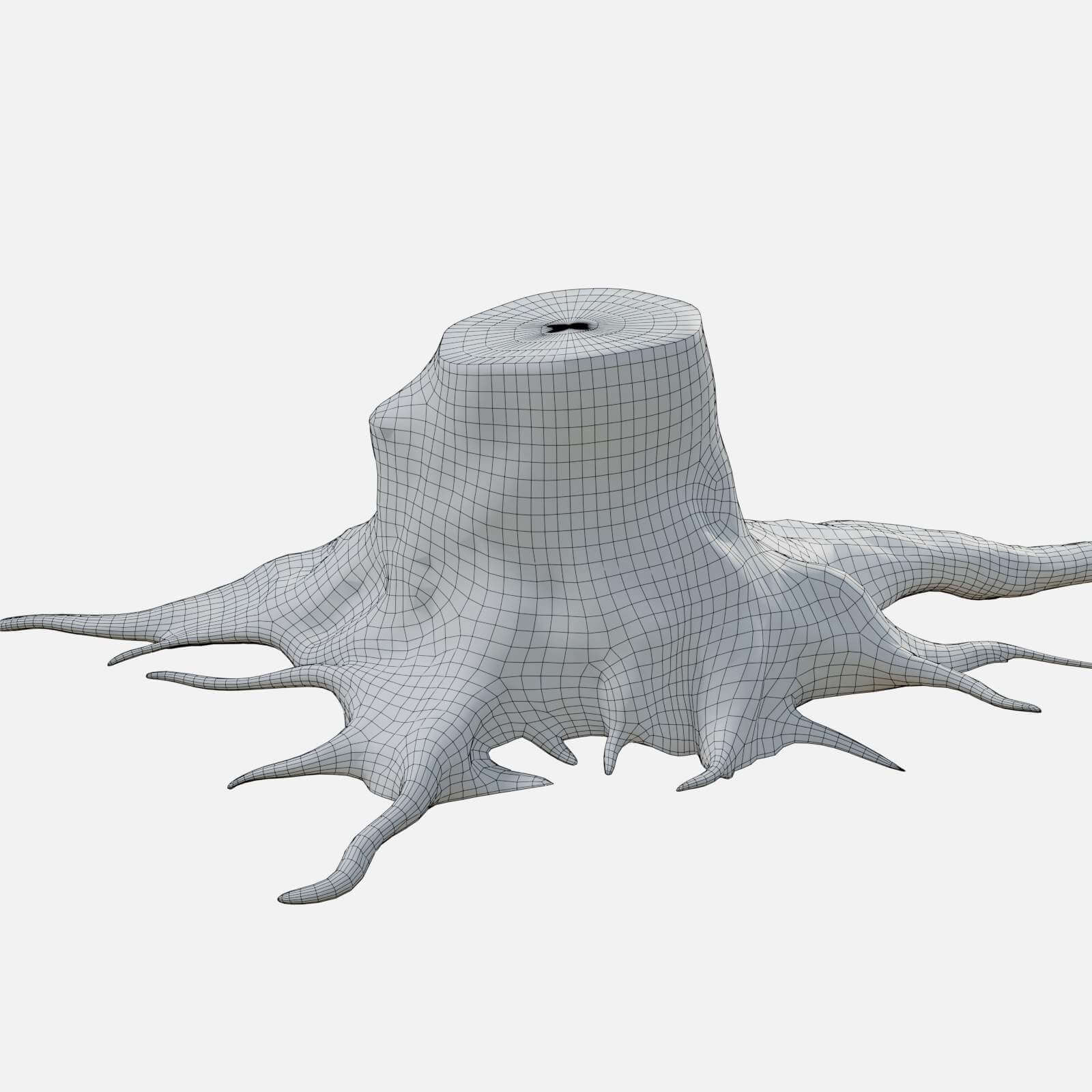 Tree Root - 3D Model by morejojo