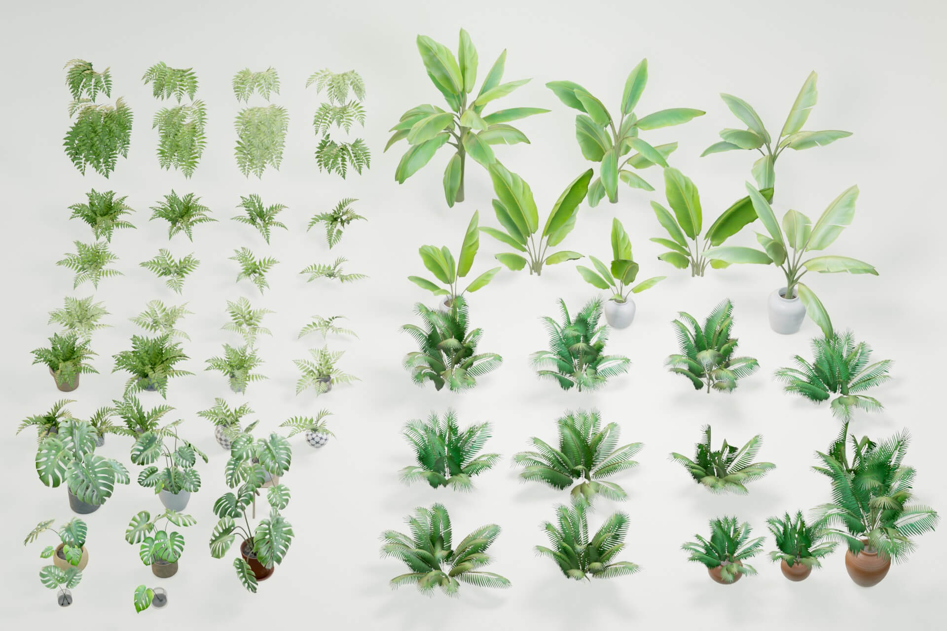 Plant Pack M03 - Low Poly 3D Model by MozzarellaARC