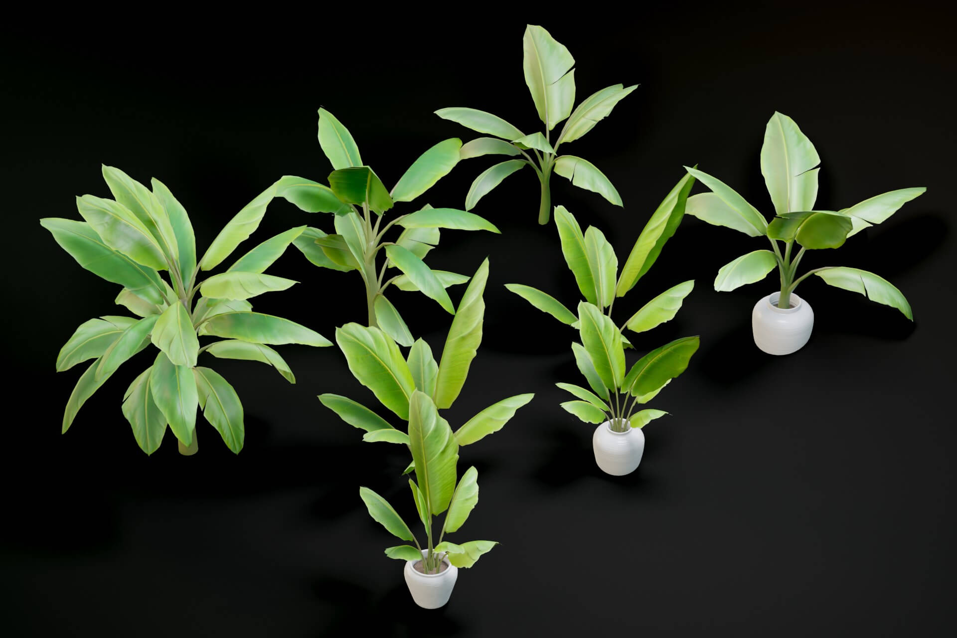 Plant Pack M03 - Low Poly 3D Model by MozzarellaARC