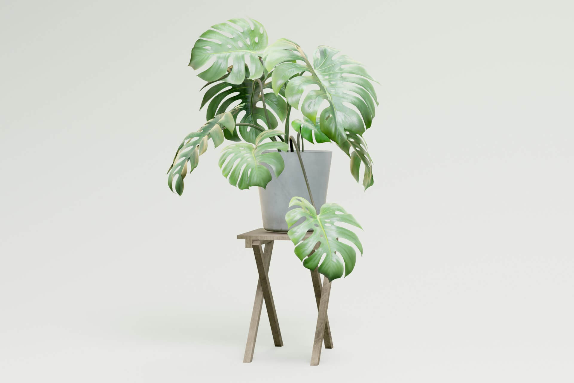 Plant Pack M03 - Low Poly 3D Model by MozzarellaARC