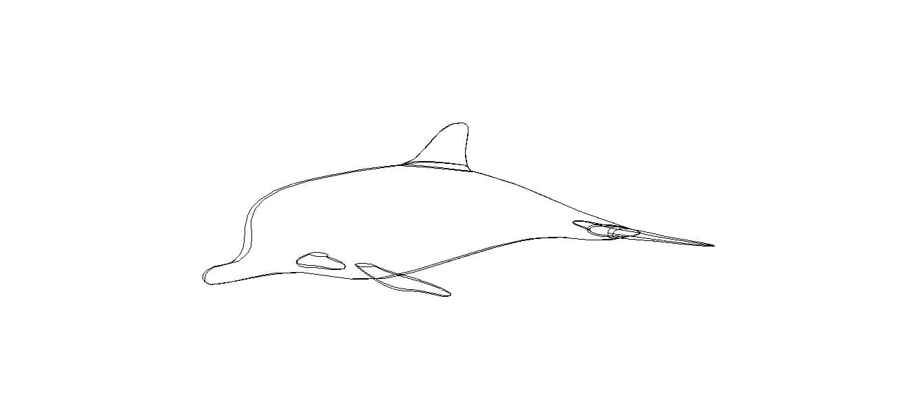 3D Art Surface Pink Dolphin by MRAnyCAD