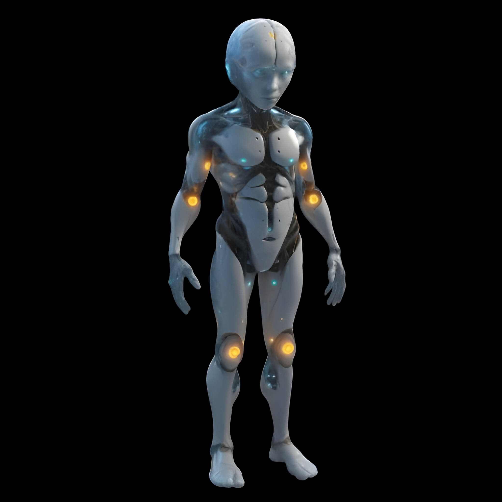 Advanced Human Body Study Collection - 3D Model by MRAnyCAD