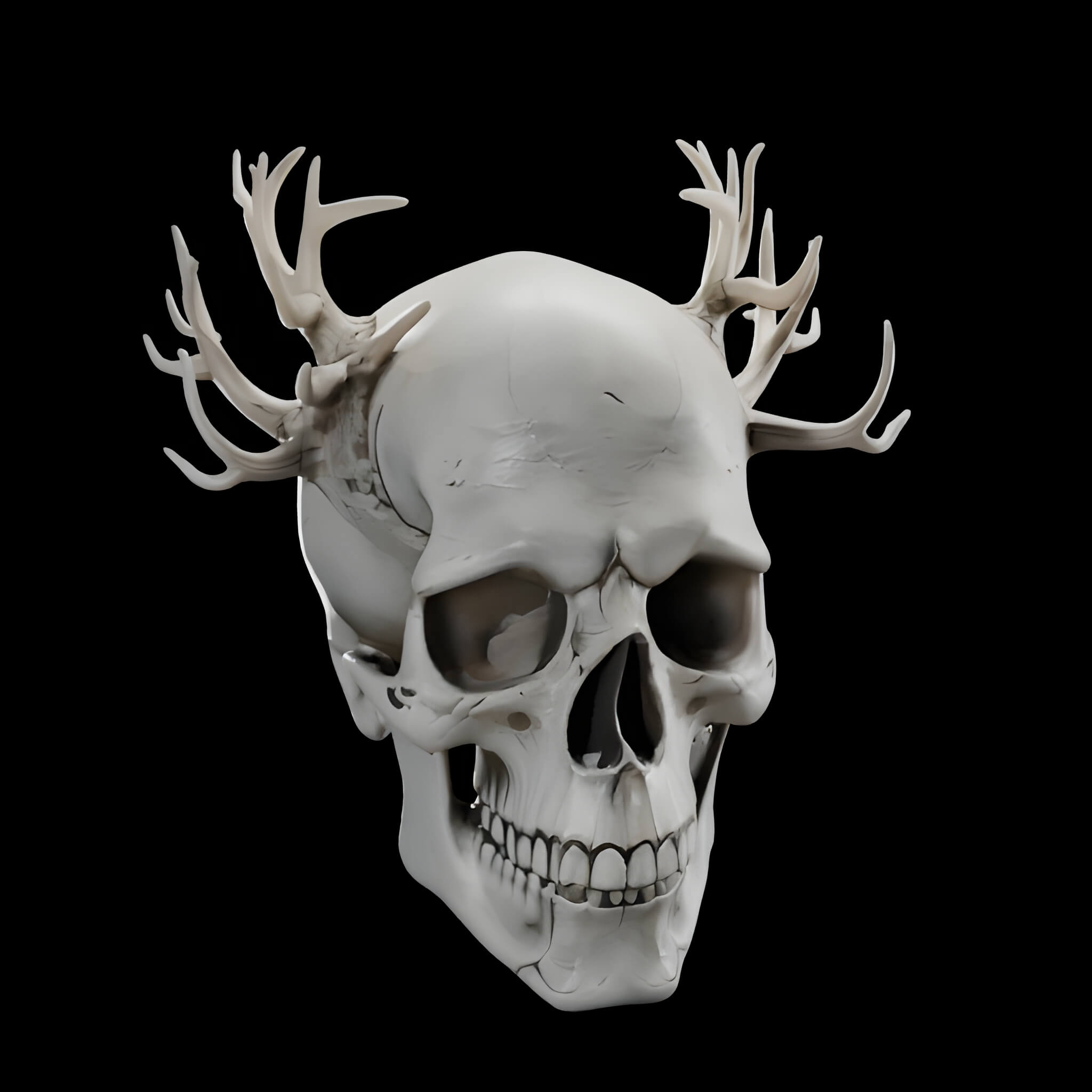 Antler Skull Collection - 3D Model by MRAnyCAD