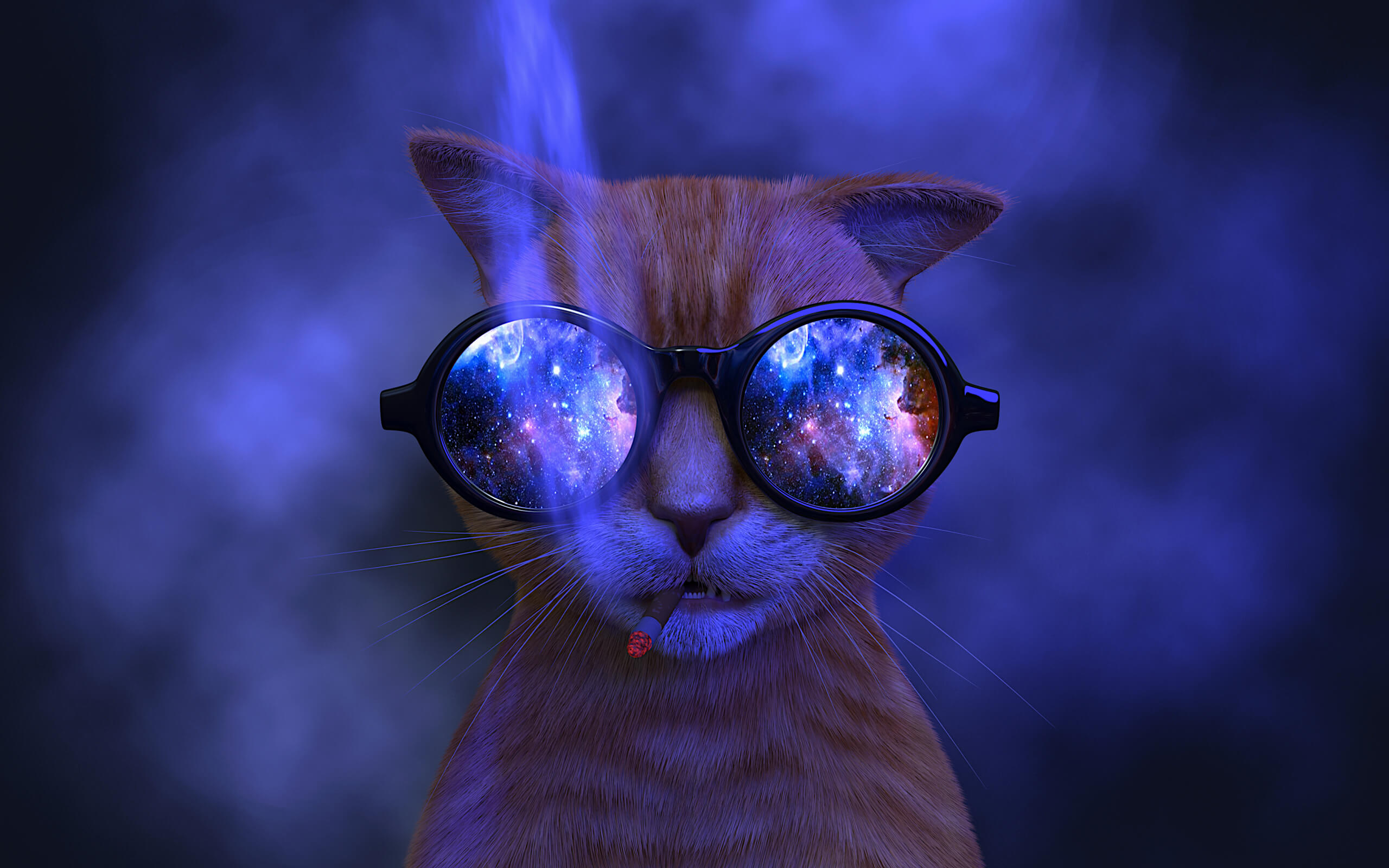 Awesome Cat Wallpaper Desktop Three Cats Stock Photos, Images And