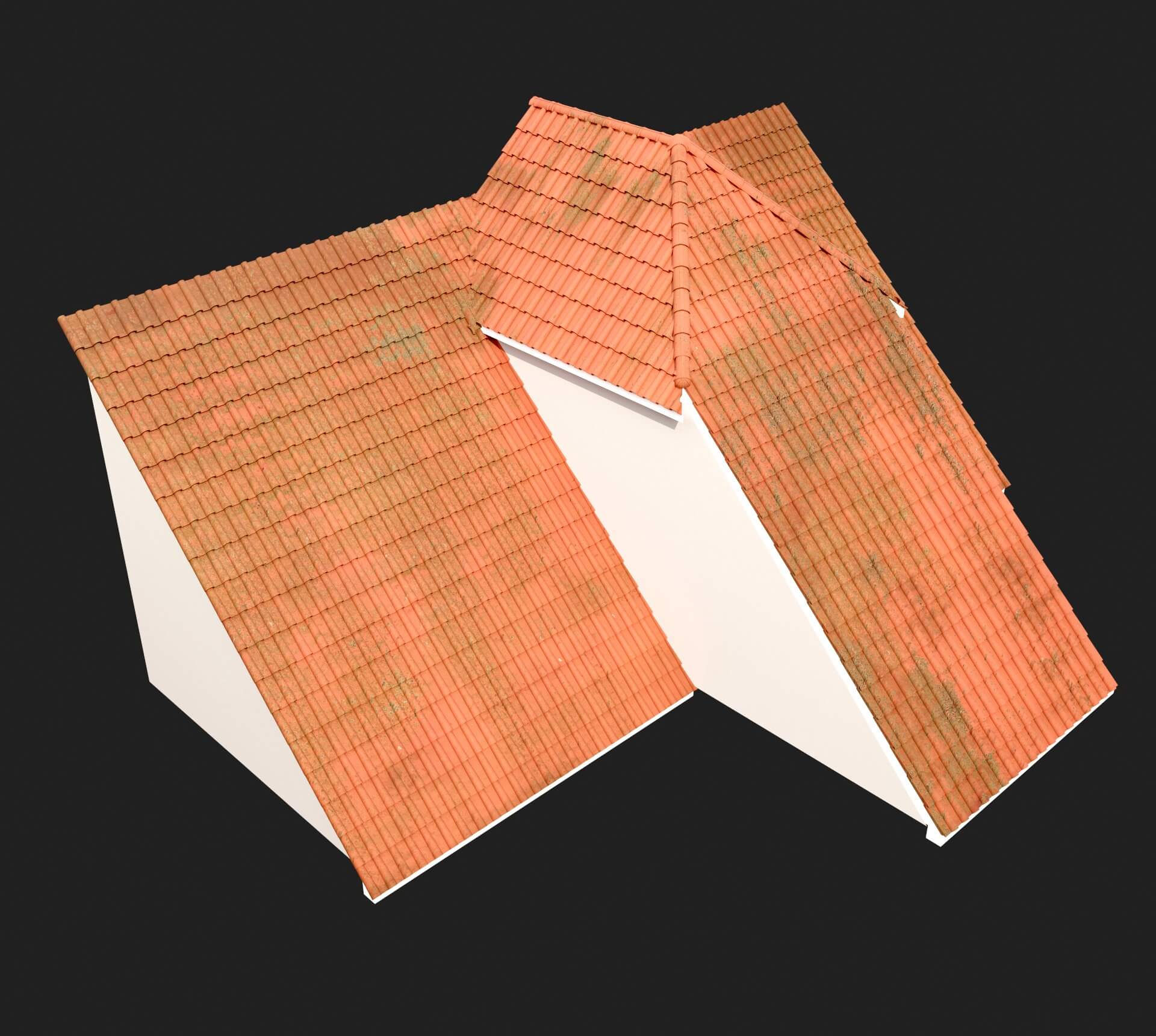 Realistic Roof 20 - 3D Model by msasdt