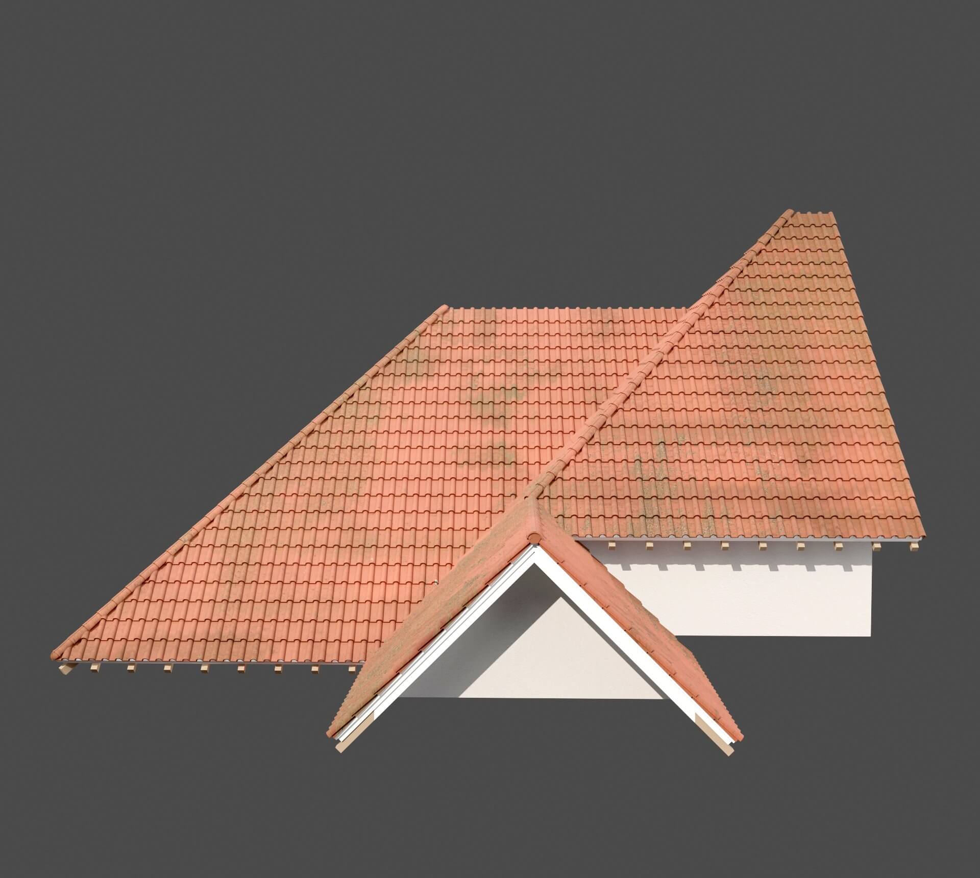 Realistic Roof 23 - 3D Model by msasdt