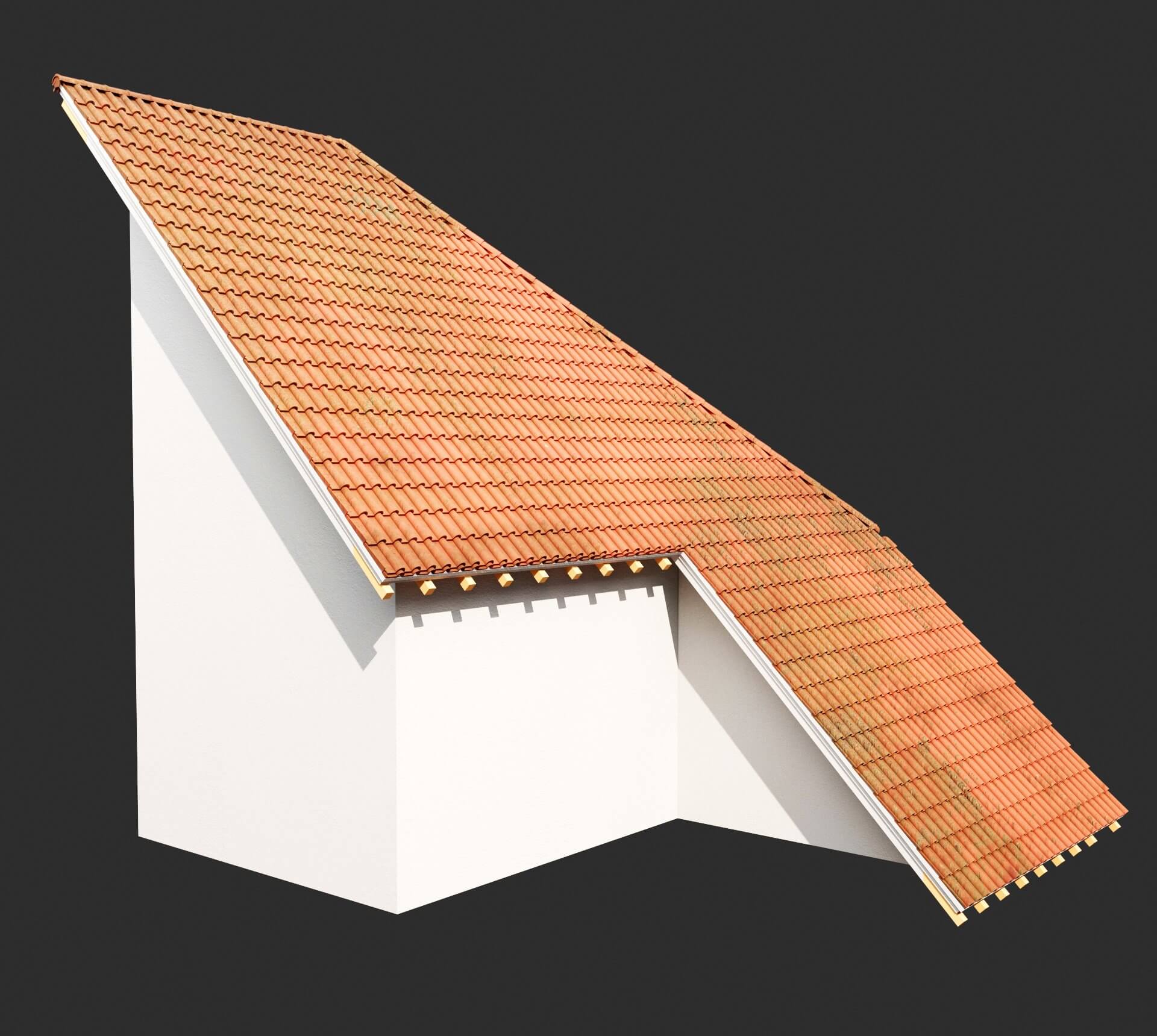 Realistic Roof 25 - 3D Model by msasdt