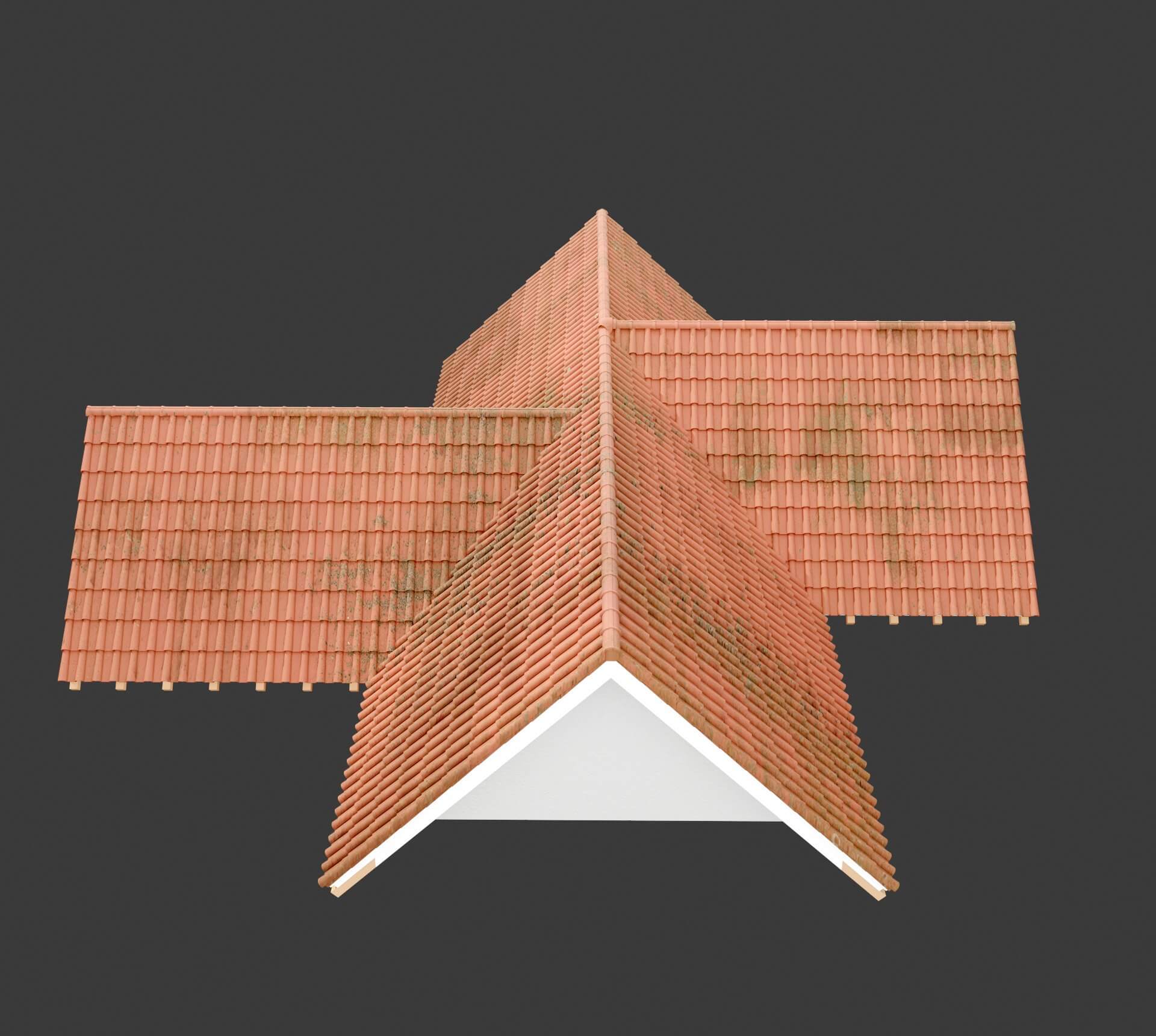 Realistic Roof 32 - 3D Model by msasdt