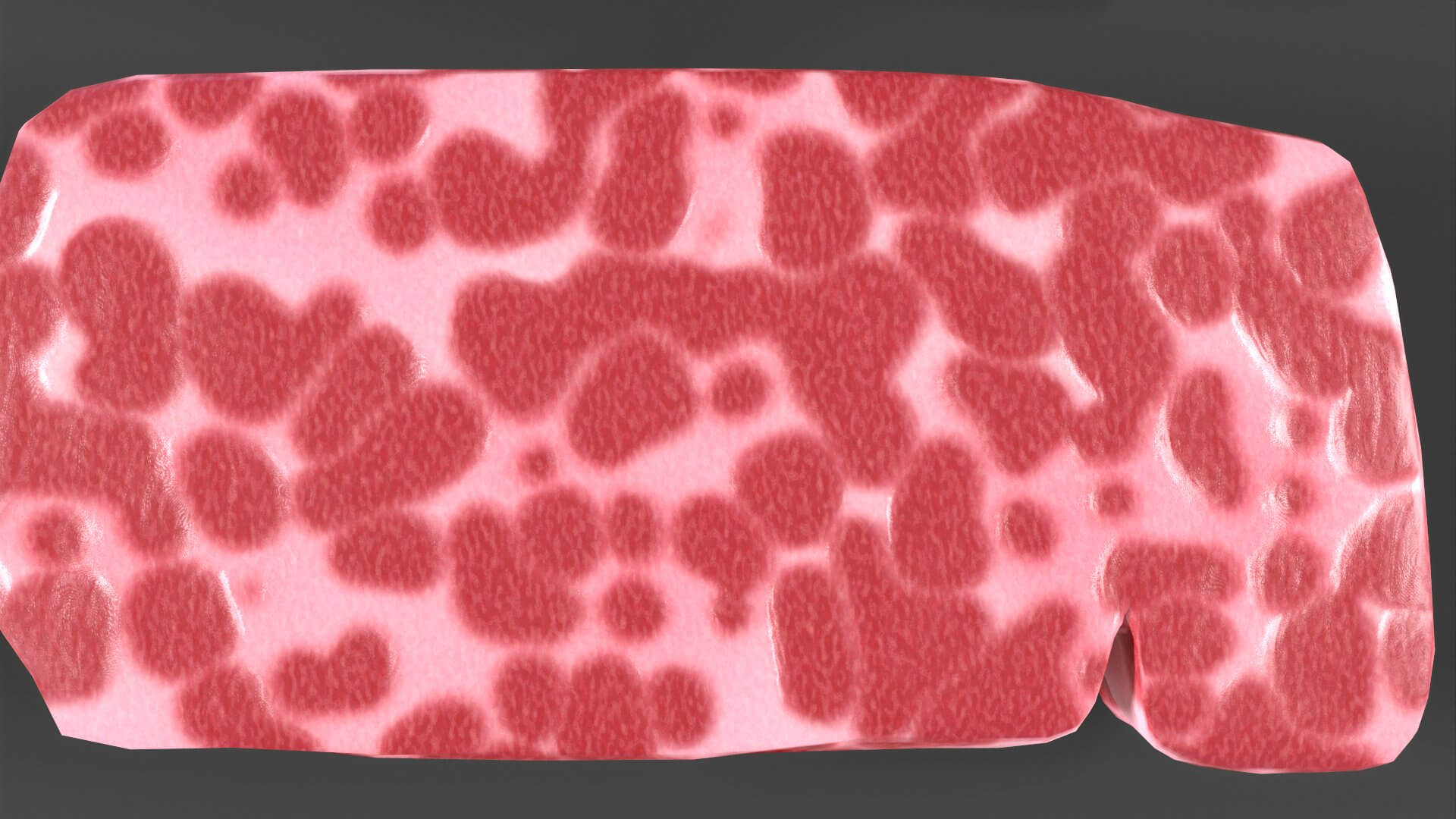 Beef Steak - 3D Model by muharremadk