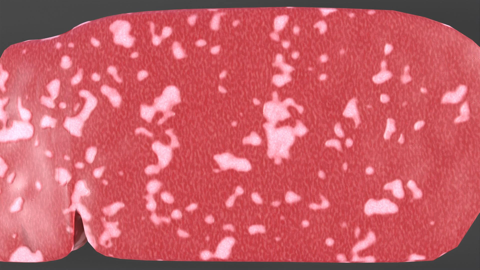 Beef Steak - 3D Model by muharremadk