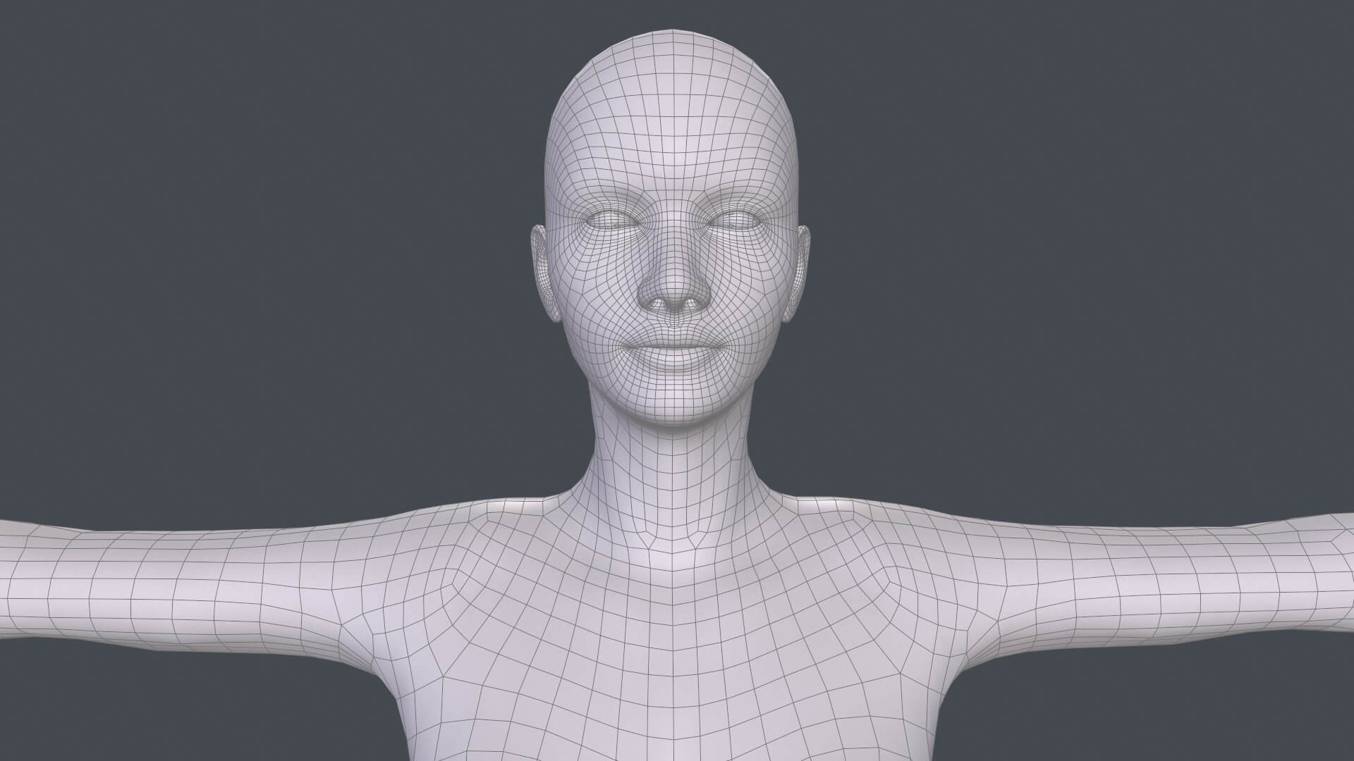 Female Basemesh - 3D Model by muharremadk