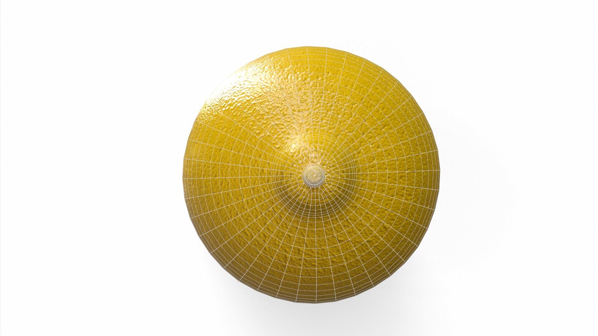 Lemon - 3D Model by muharremadk