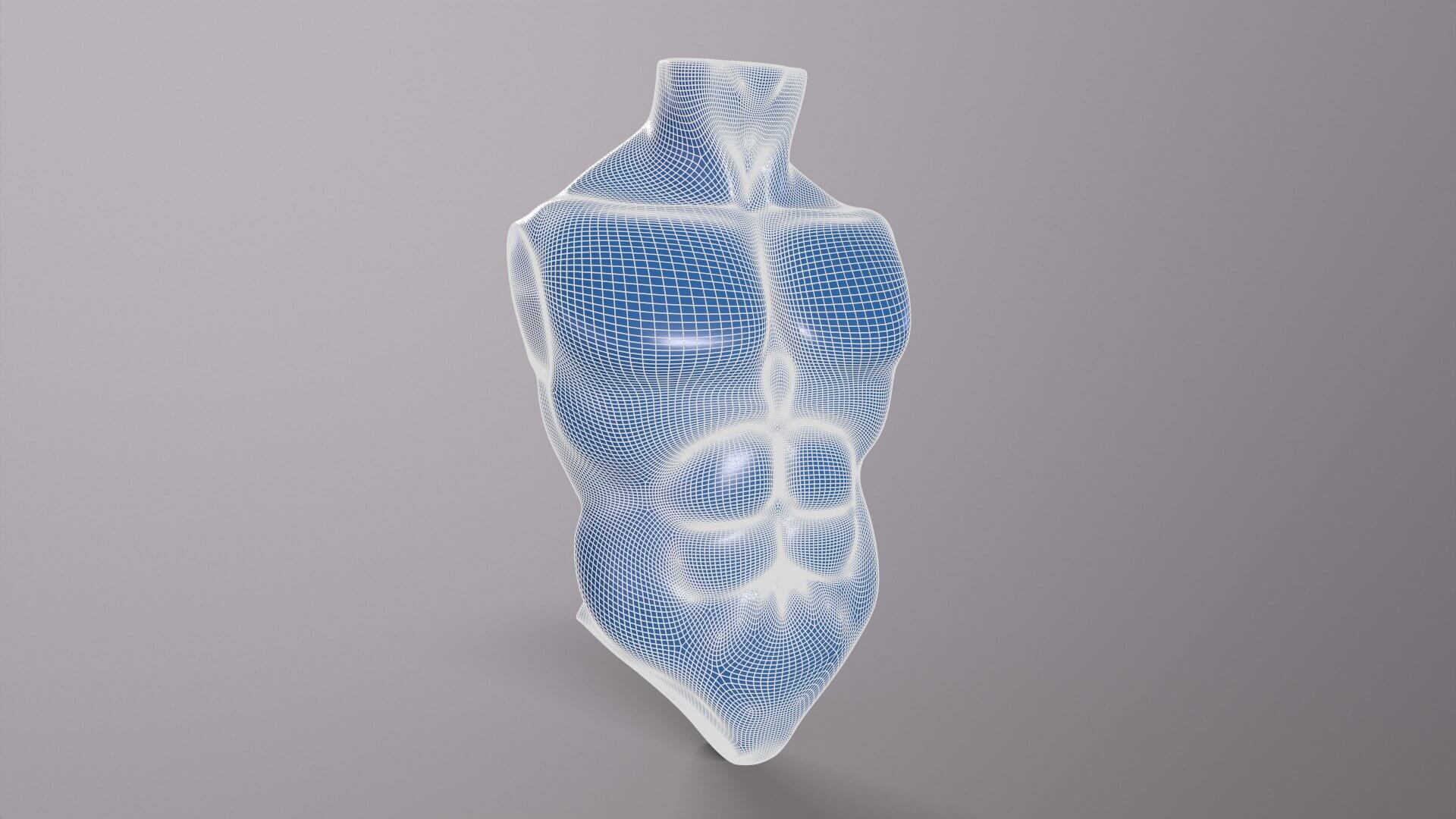 Male Torso Base Mesh - 3D Model by muharremadk