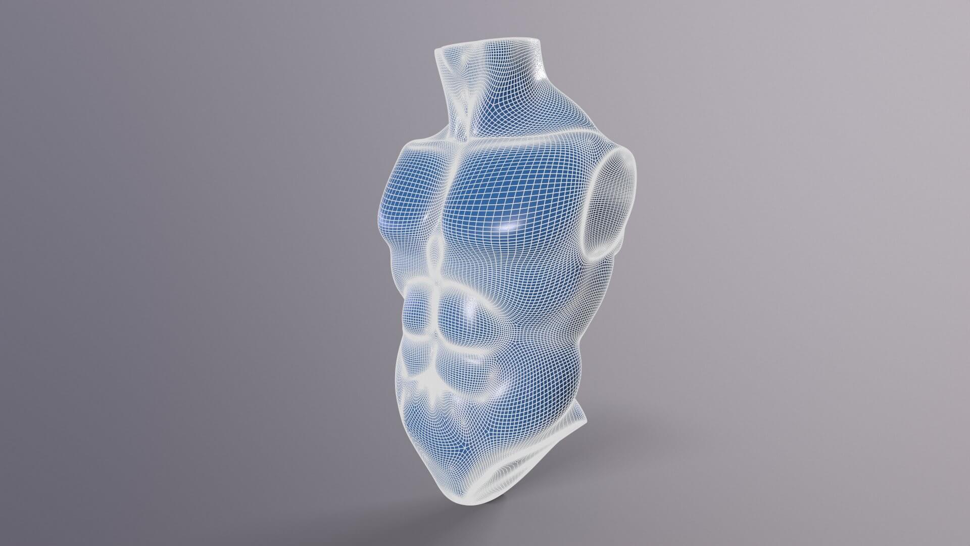 Male Torso Base Mesh - 3D Model by muharremadk