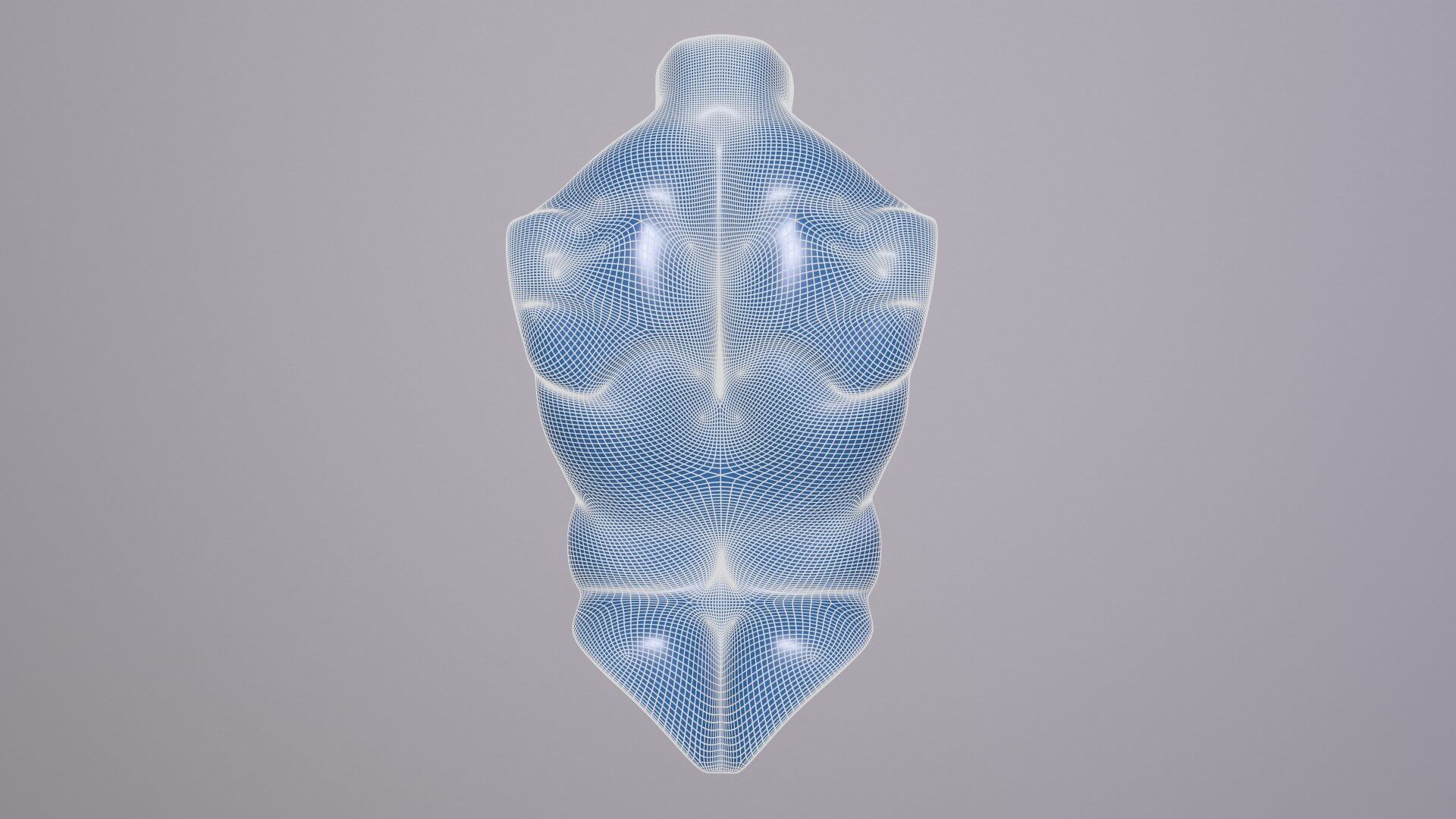 Male Torso Base Mesh - 3D Model by muharremadk