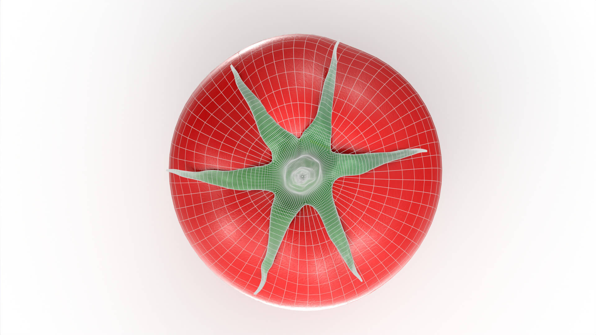 Red Tomato - 3D Model by muharremadk