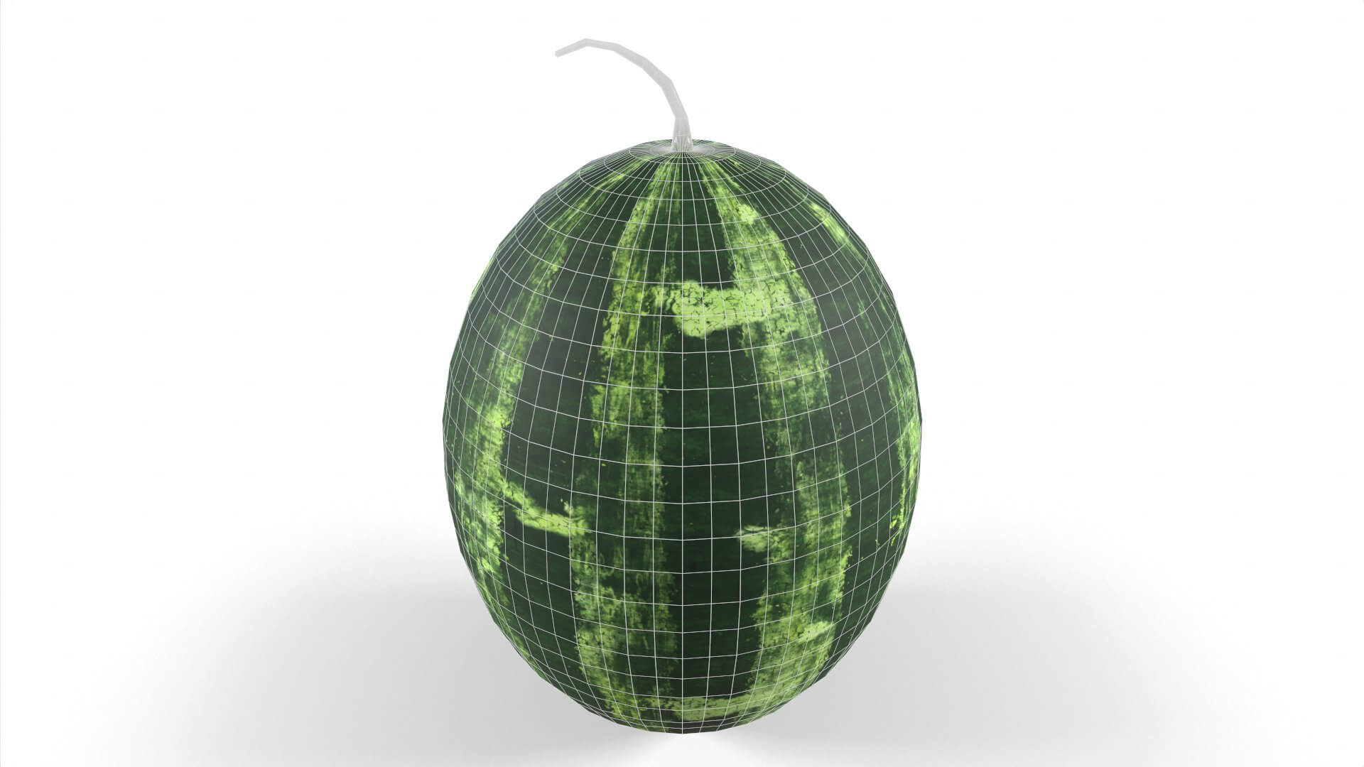 Watermelon - 3D Model by muharremadk