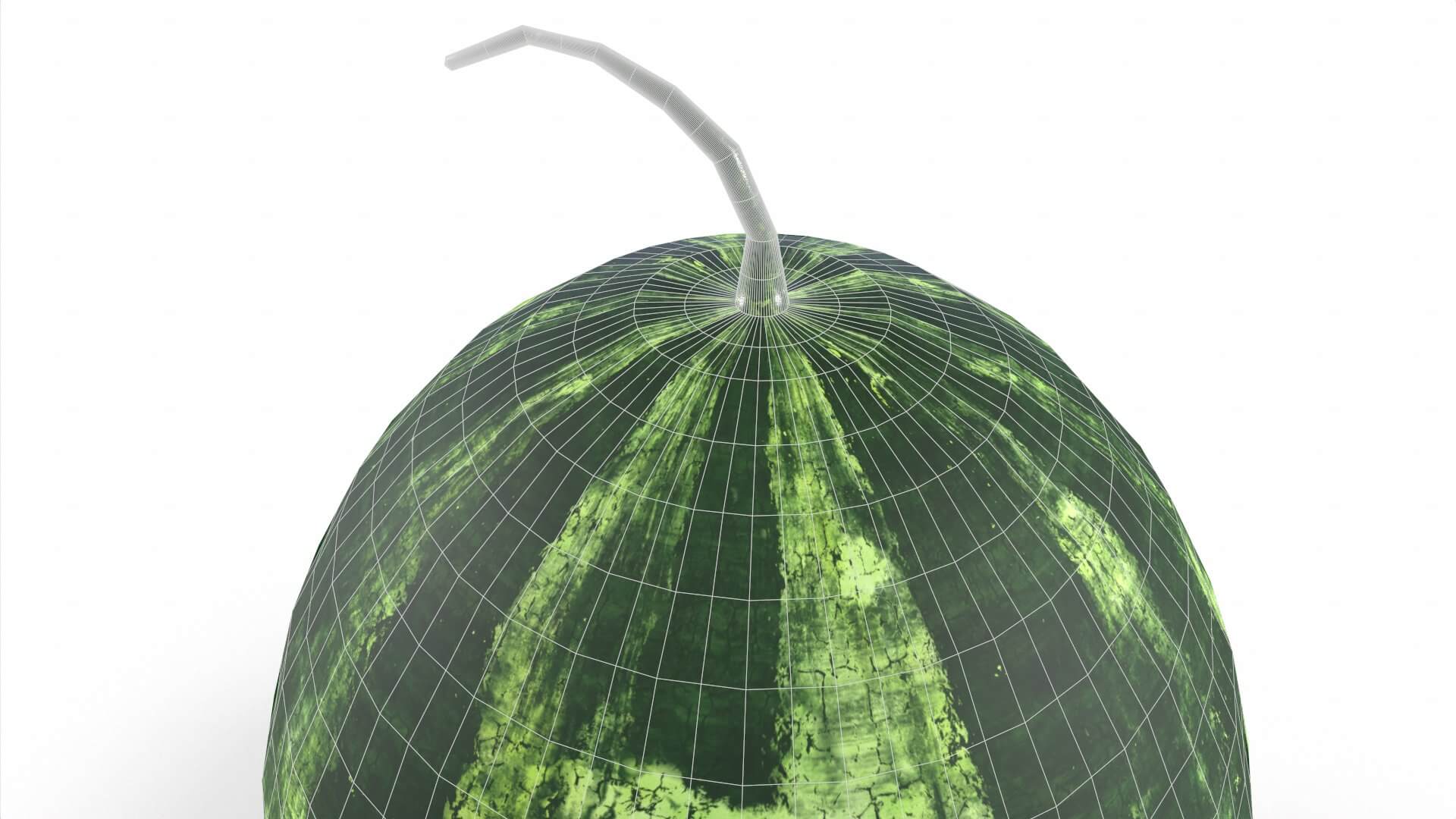 Watermelon - 3D Model by muharremadk