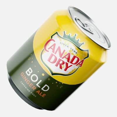 Canada Dry Bold Ginger Ale Can 250ml - 3D Model by murtazaboyraz