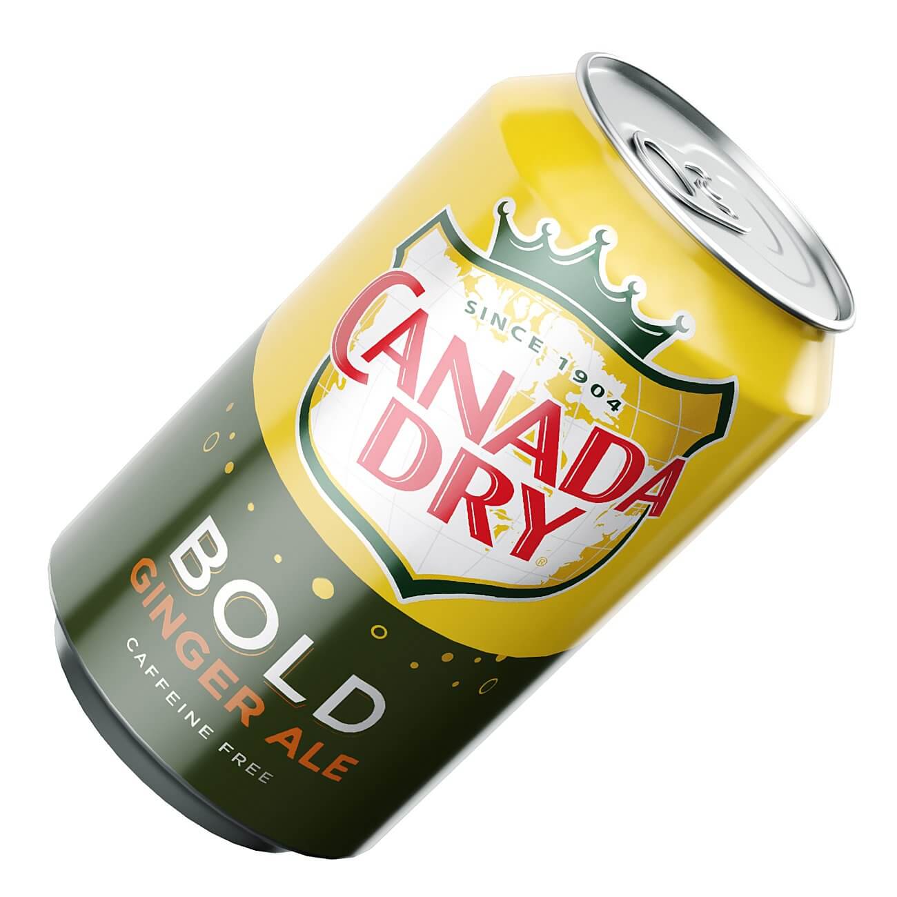 Canada Dry Bold Ginger Ale Can 355ml - 3D Model by murtazaboyraz