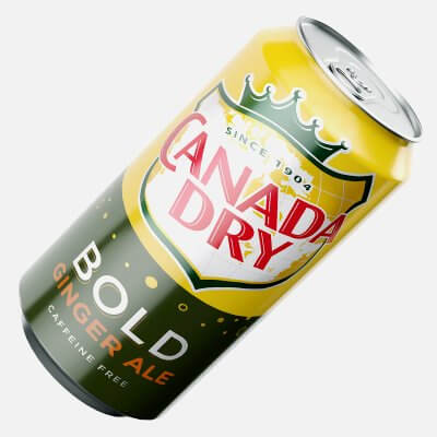 Canada Dry Bold Ginger Ale Can 440ml - 3D Model by murtazaboyraz