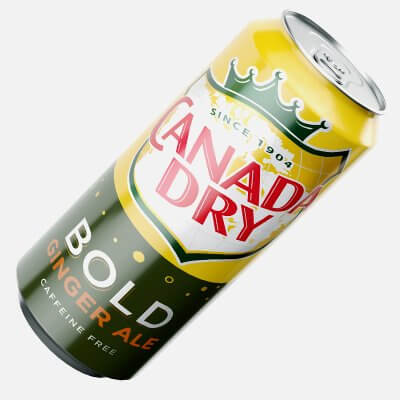 Canada Dry Bold Ginger Ale Can 500ml - 3D Model by murtazaboyraz