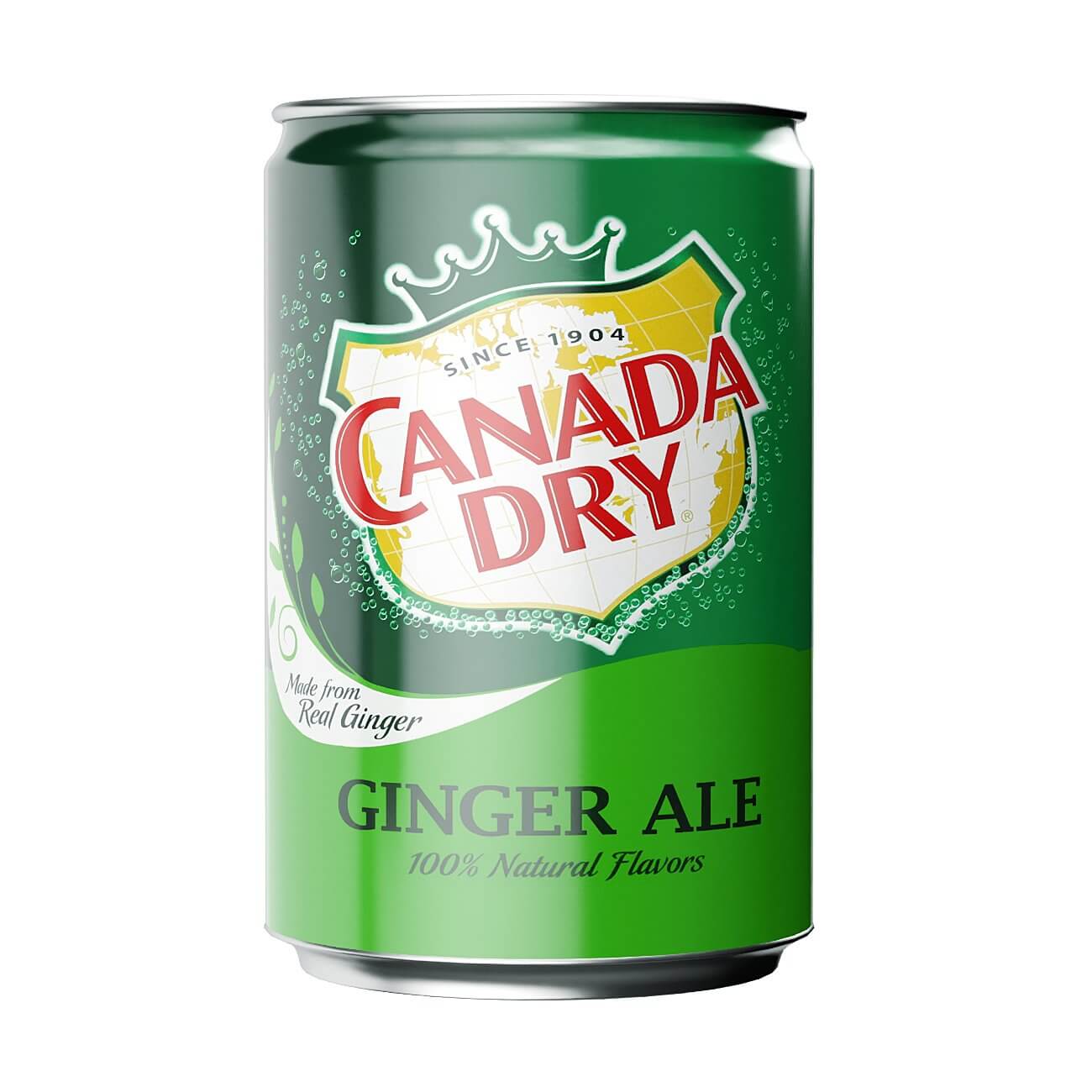 Canada Dry Can 163ml Slim - 3D Model by murtazaboyraz