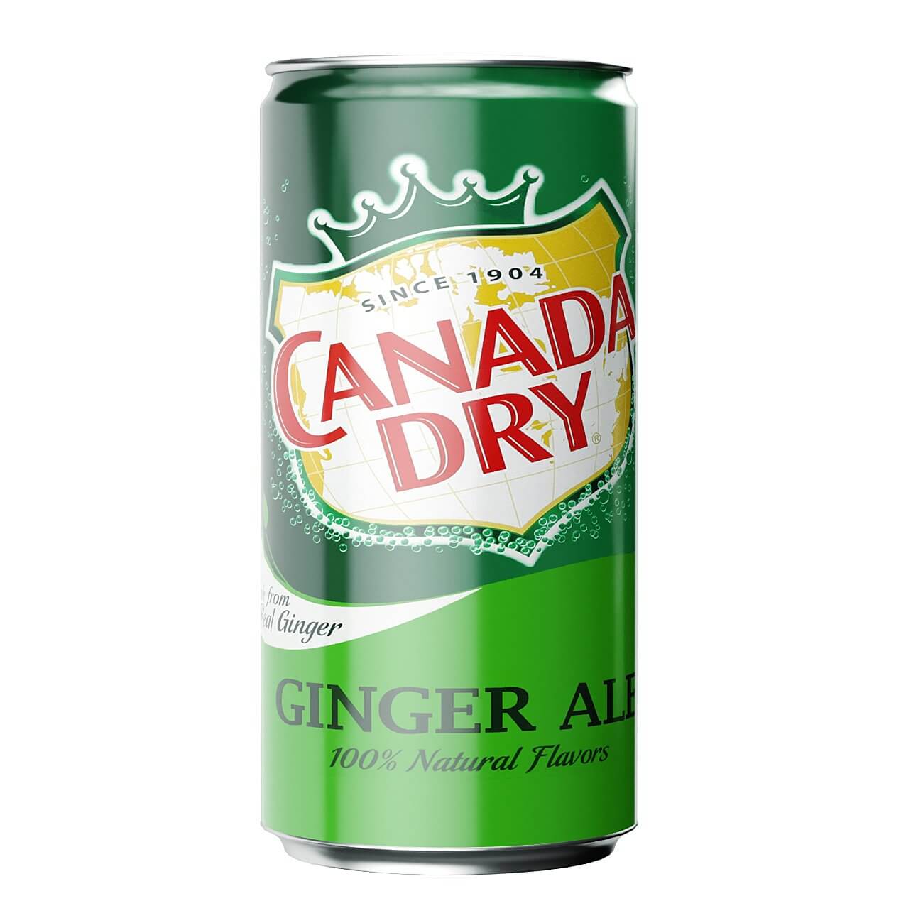 Canada Dry Can 250ml Slim - 3D Model by murtazaboyraz