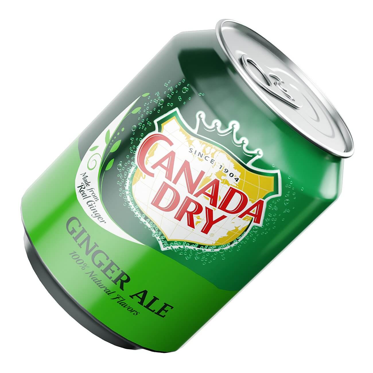 Canada Dry Can 250ml - 3D Model by murtazaboyraz