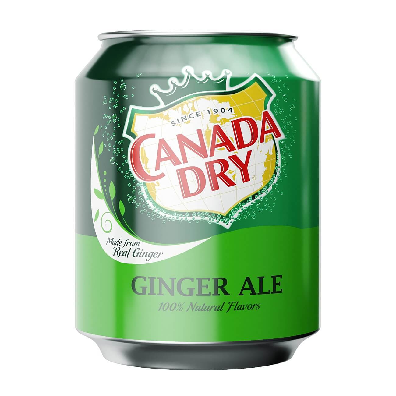 Canada Dry Can 250ml - 3D Model by murtazaboyraz
