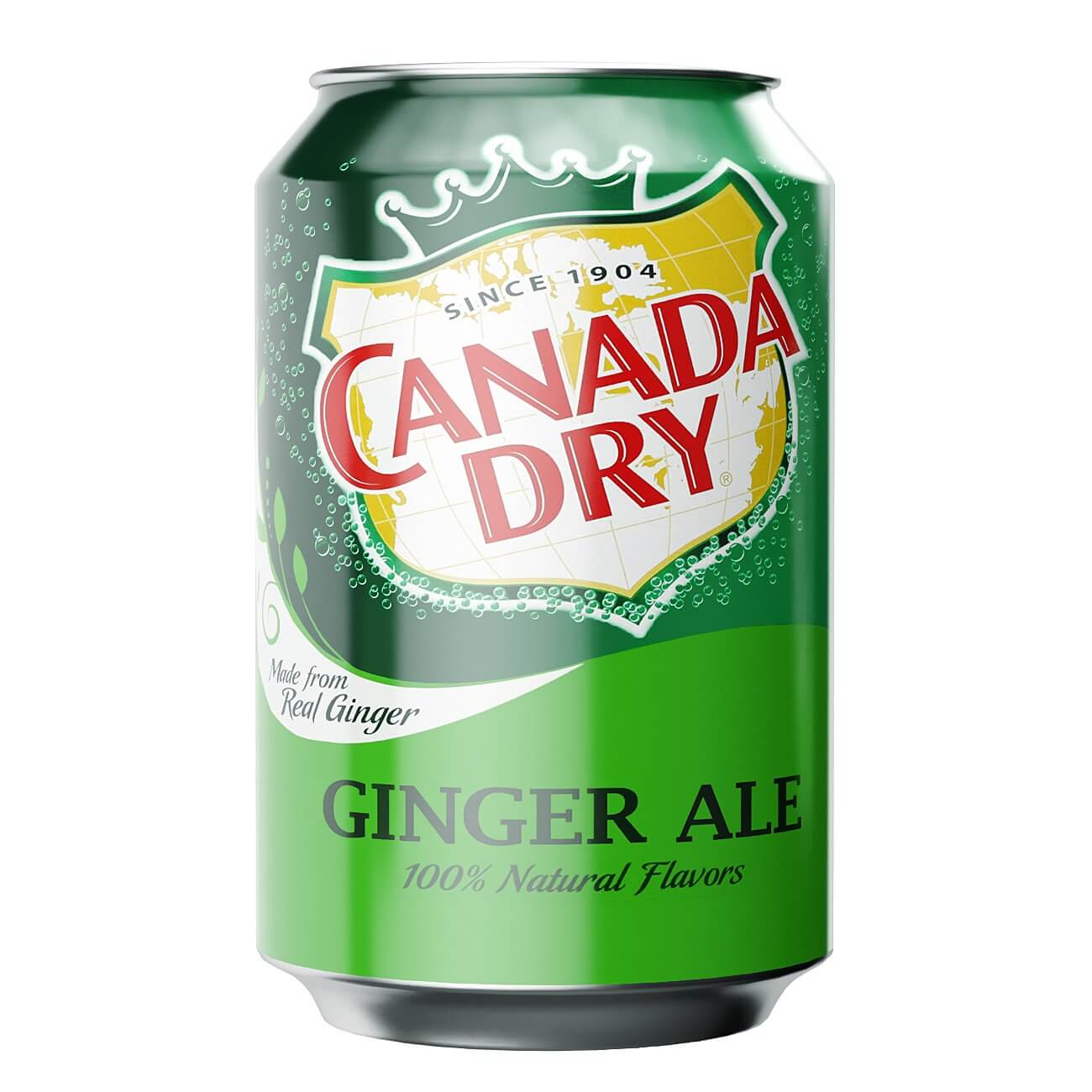 Canada Dry Can 330ml - 3D Model by murtazaboyraz