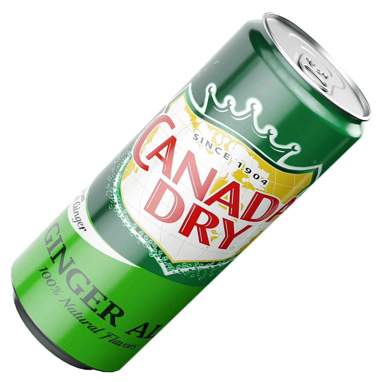Canada Dry Can 355ml Sleek - 3D Model by murtazaboyraz