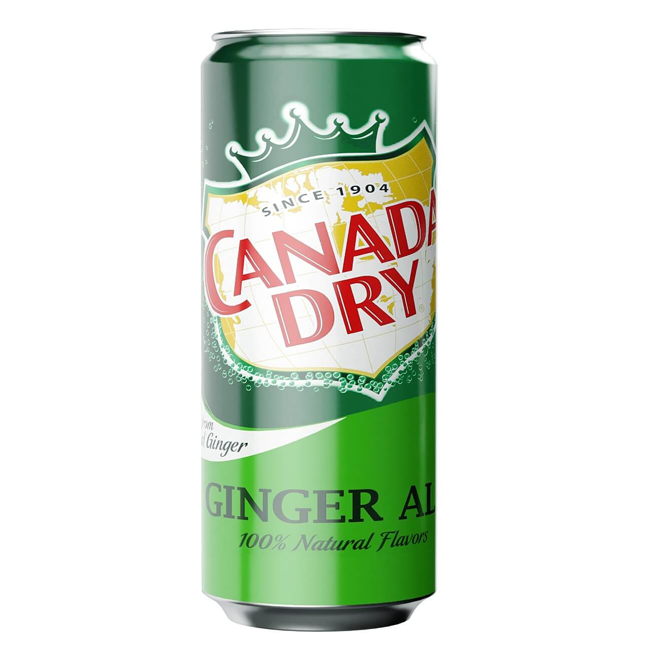 Canada Dry Can 355ml Sleek - 3D Model by murtazaboyraz