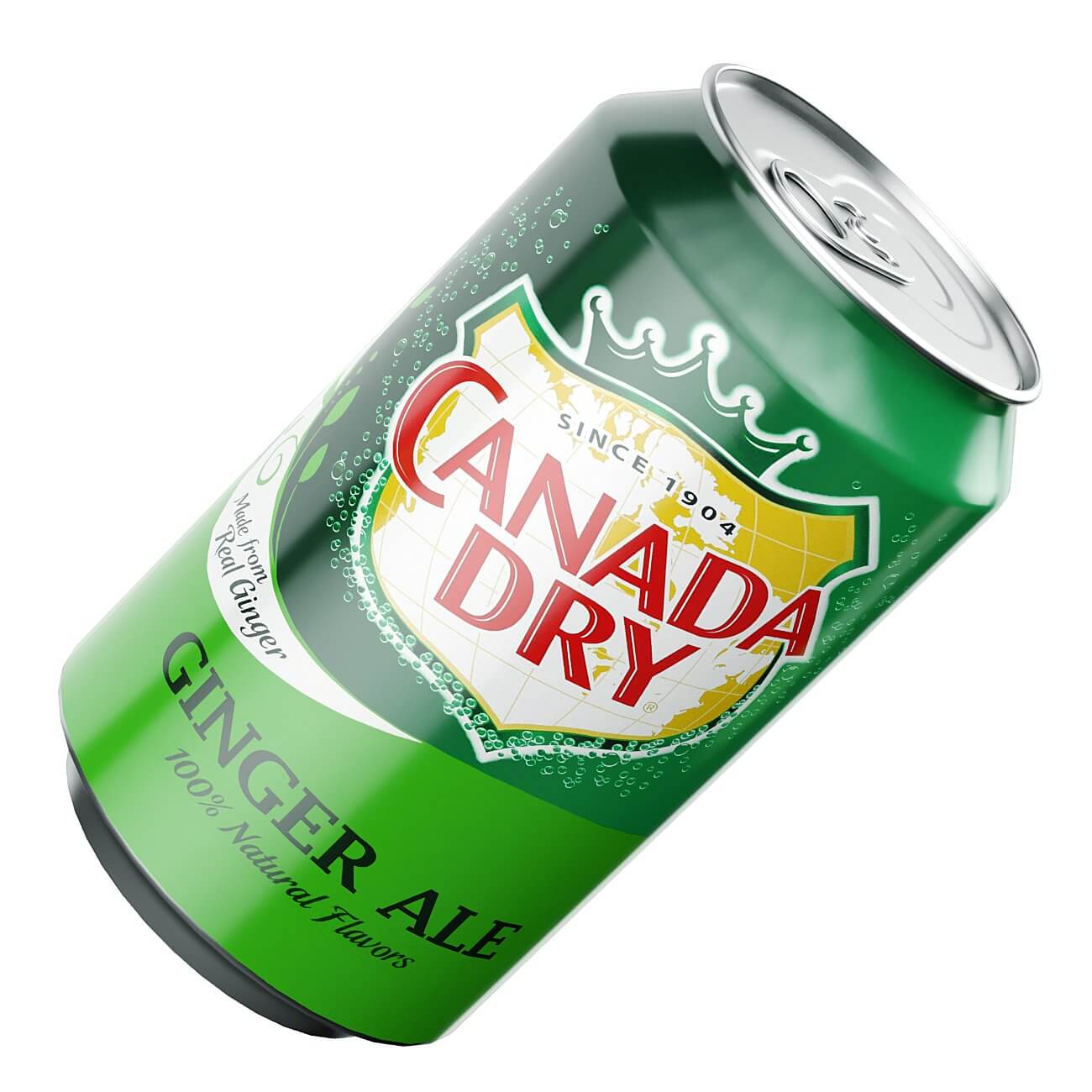 Canada Dry Can 355ml - 3D Model by murtazaboyraz