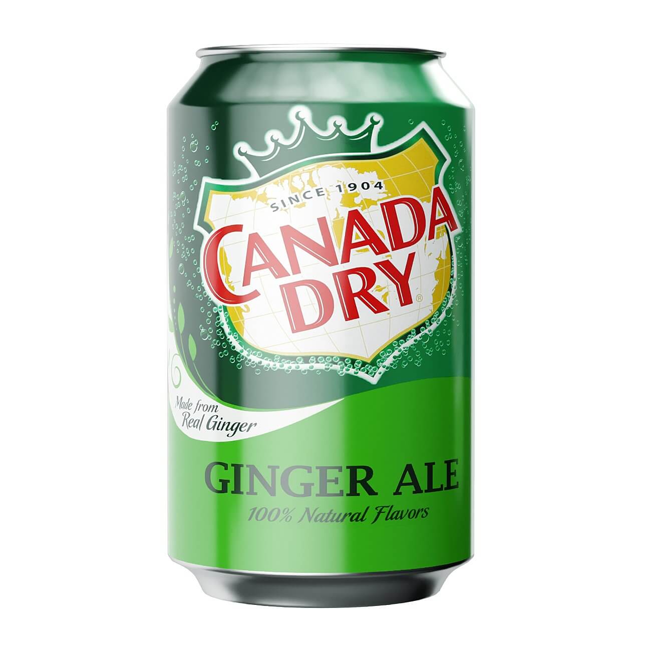 Canada Dry Can 355ml - 3D Model by murtazaboyraz