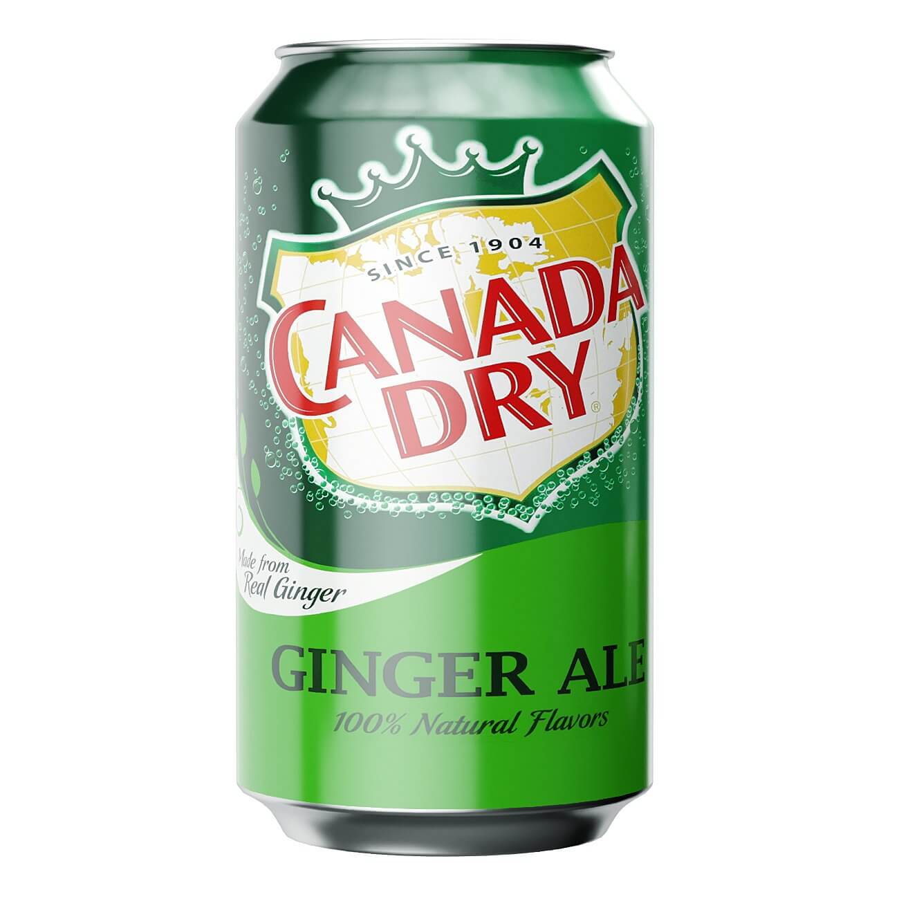 Canada Dry Can 375ml - 3D Model by murtazaboyraz