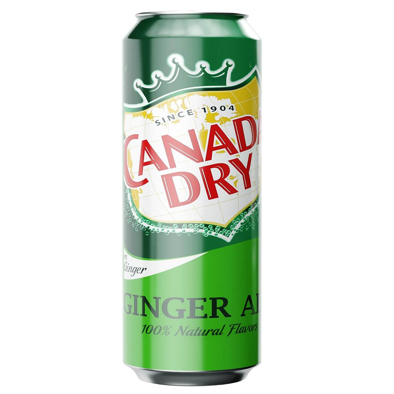 Canada Dry Can 568ml - 3D Model by murtazaboyraz