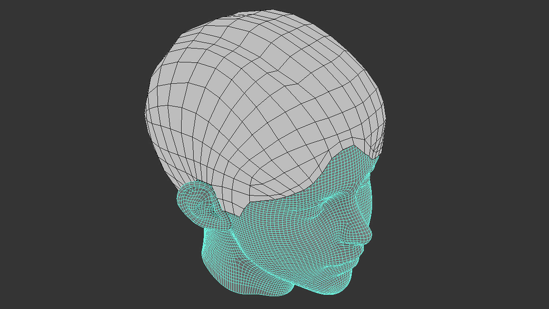 3D Polygon Hair for Game Low Poly by Nammichael