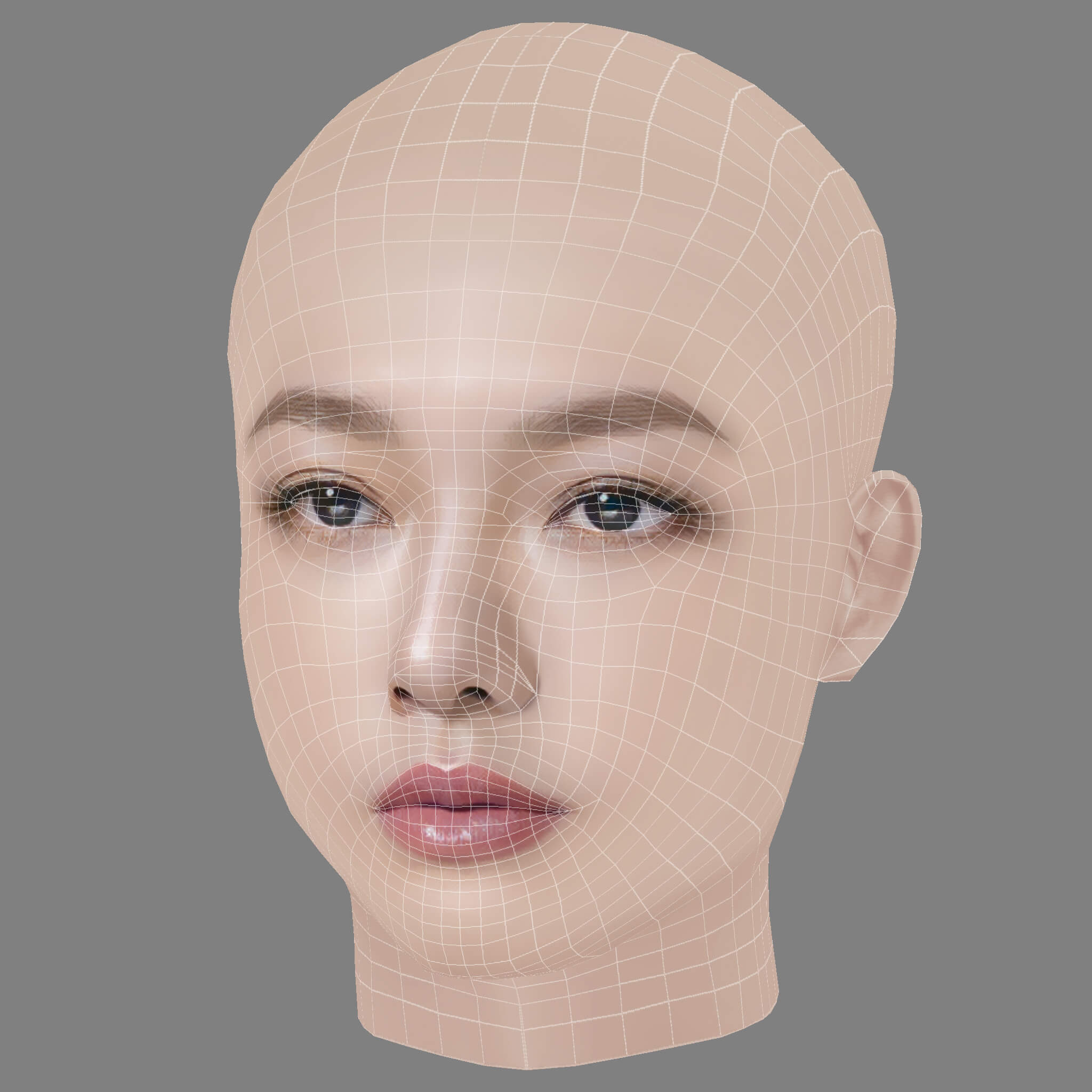 Barbie Hsu Head - No Hair - Low Poly Head for Game 3D Model by Nammichael