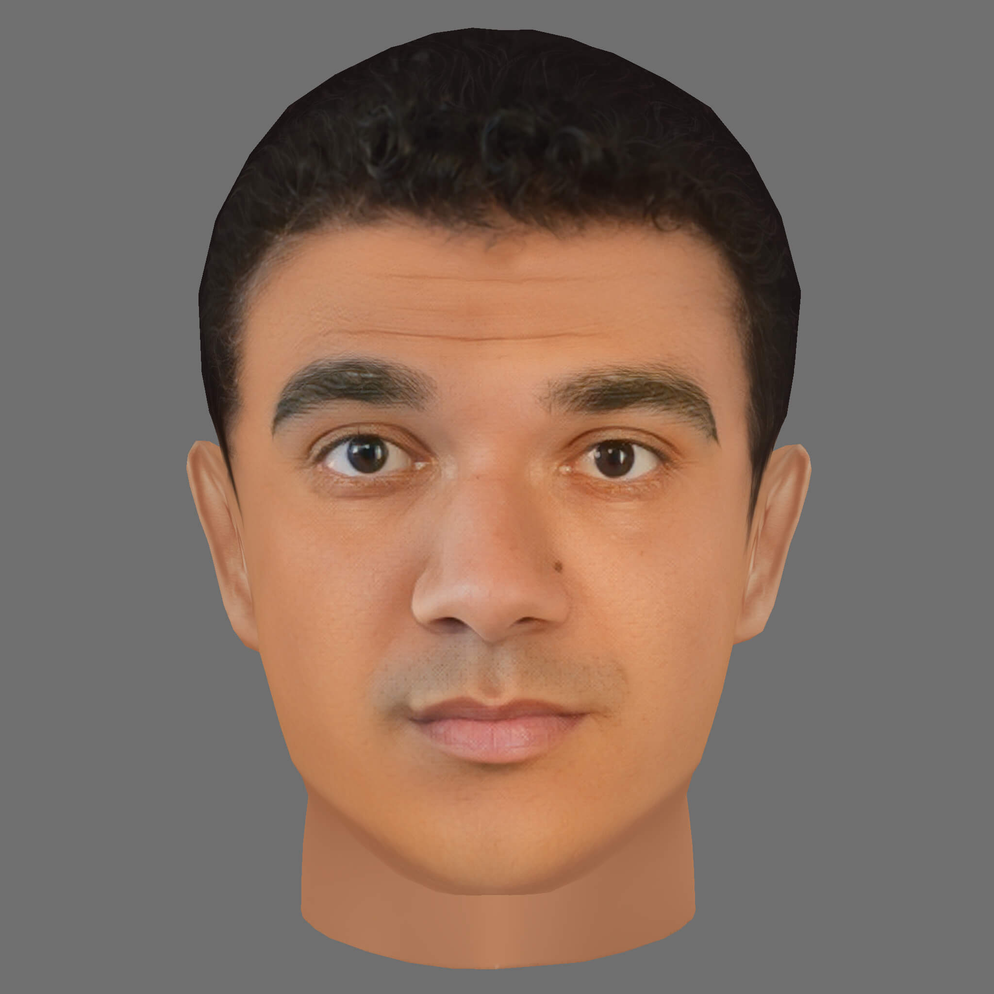 Callan Taverner Head - Low Poly Head for Game 3D Model by Nammichael