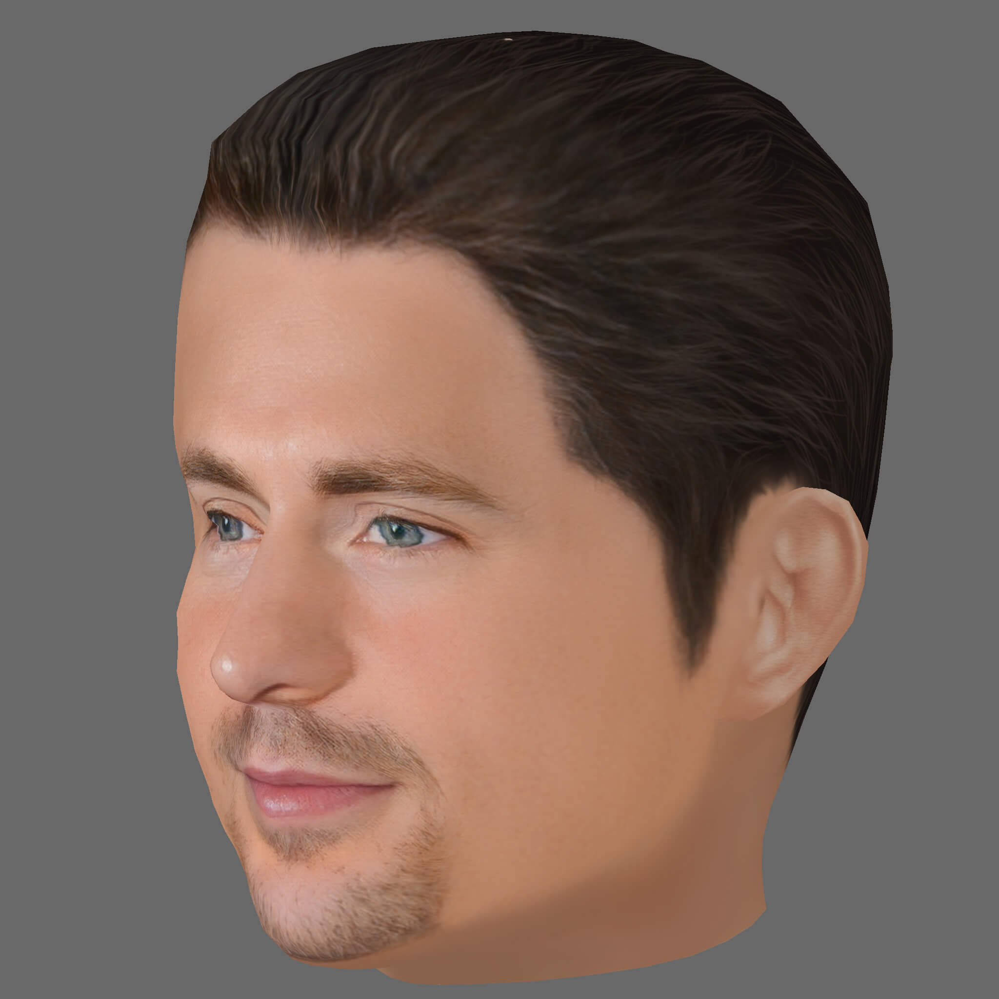 Chris Evans Head - 3D Model by Nammichael