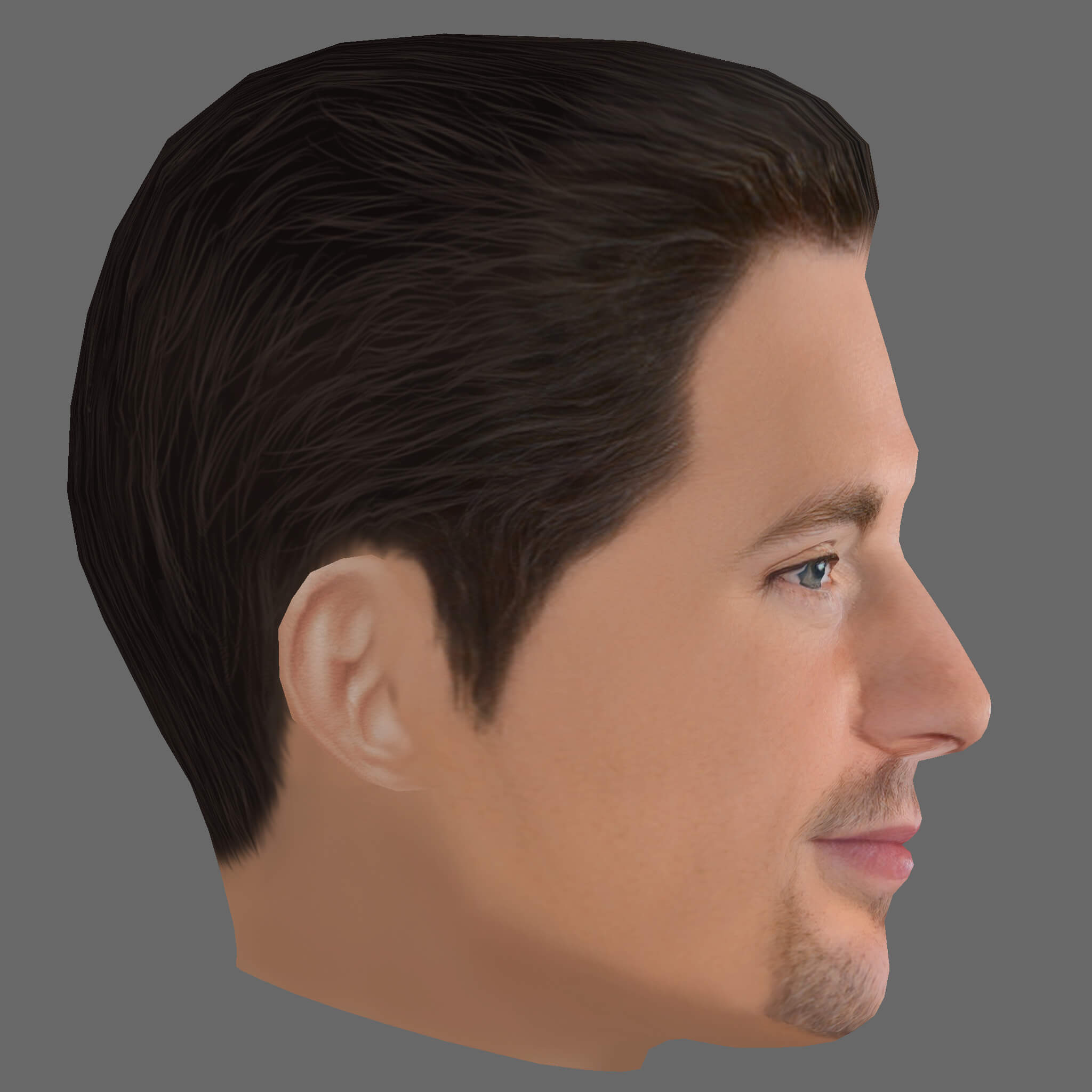 Chris Evans Head - 3D Model by Nammichael