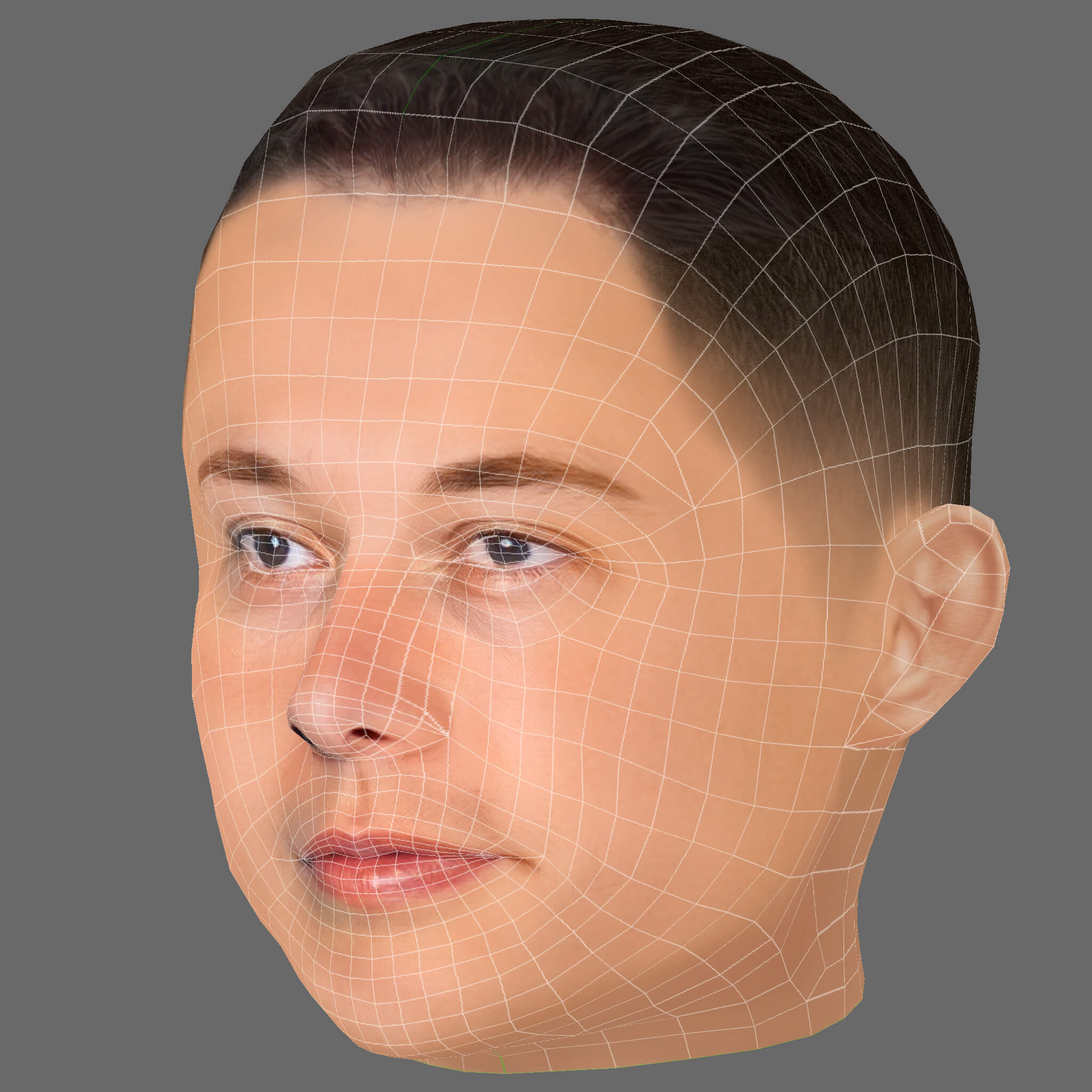 Elon Musk Head - Low Poly Head for Game 3D Model by Nammichael