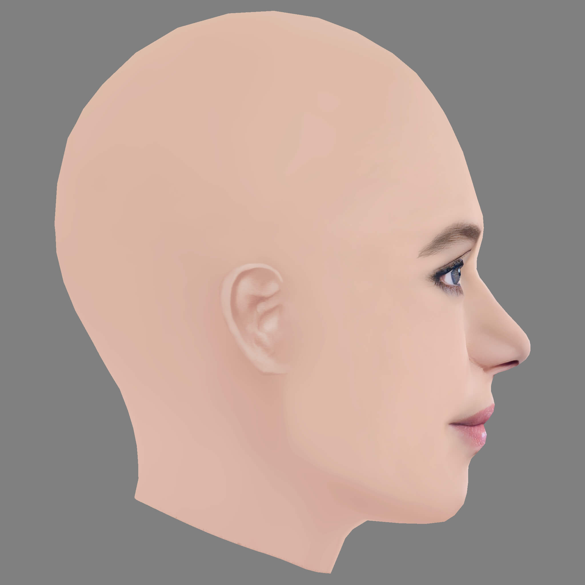 Laetitia Dosch Head - No Hair - Low Poly Head for Game 3D Model by ...