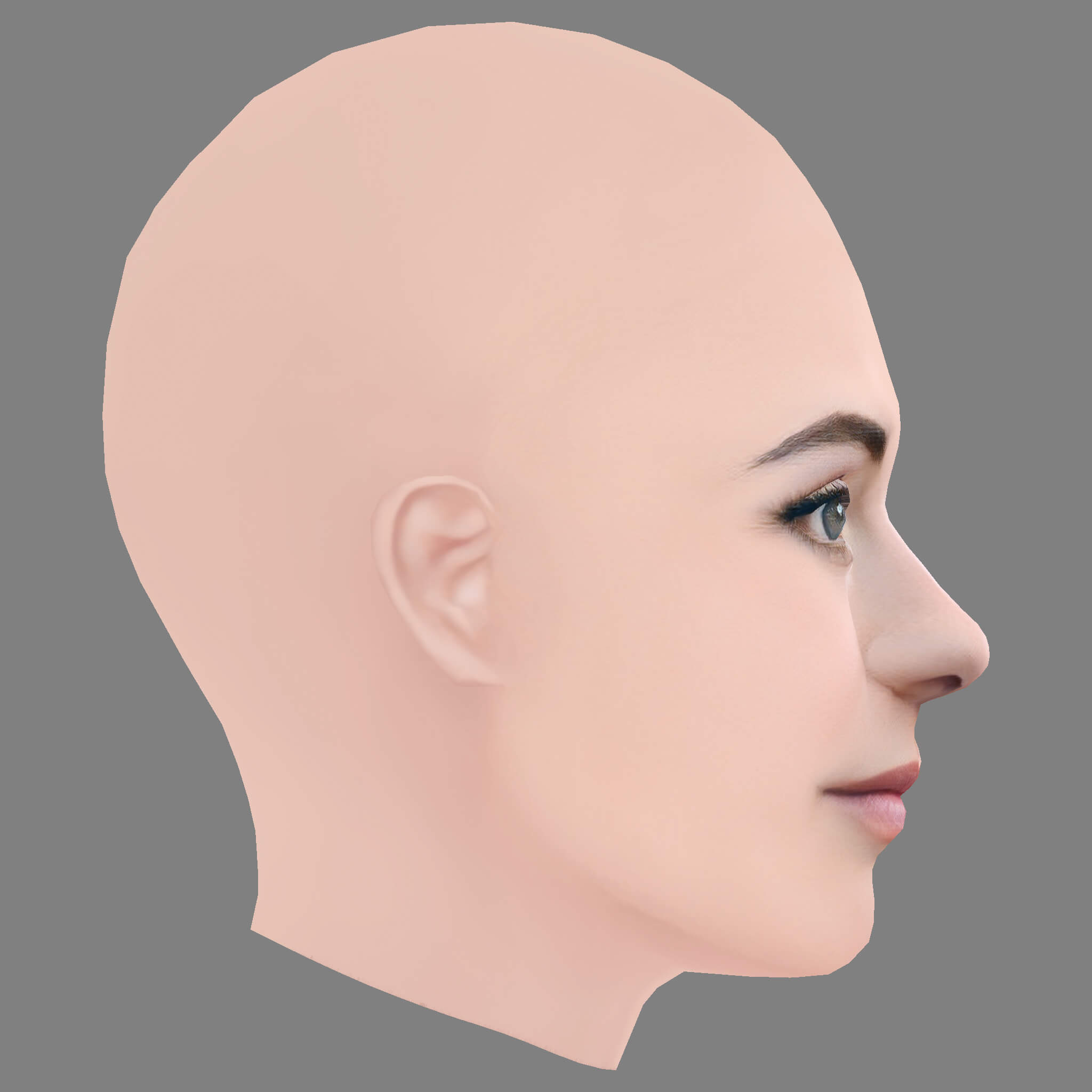 Lara McDonnell Head - No Hair - Low Poly Head for Game 3D Model by ...
