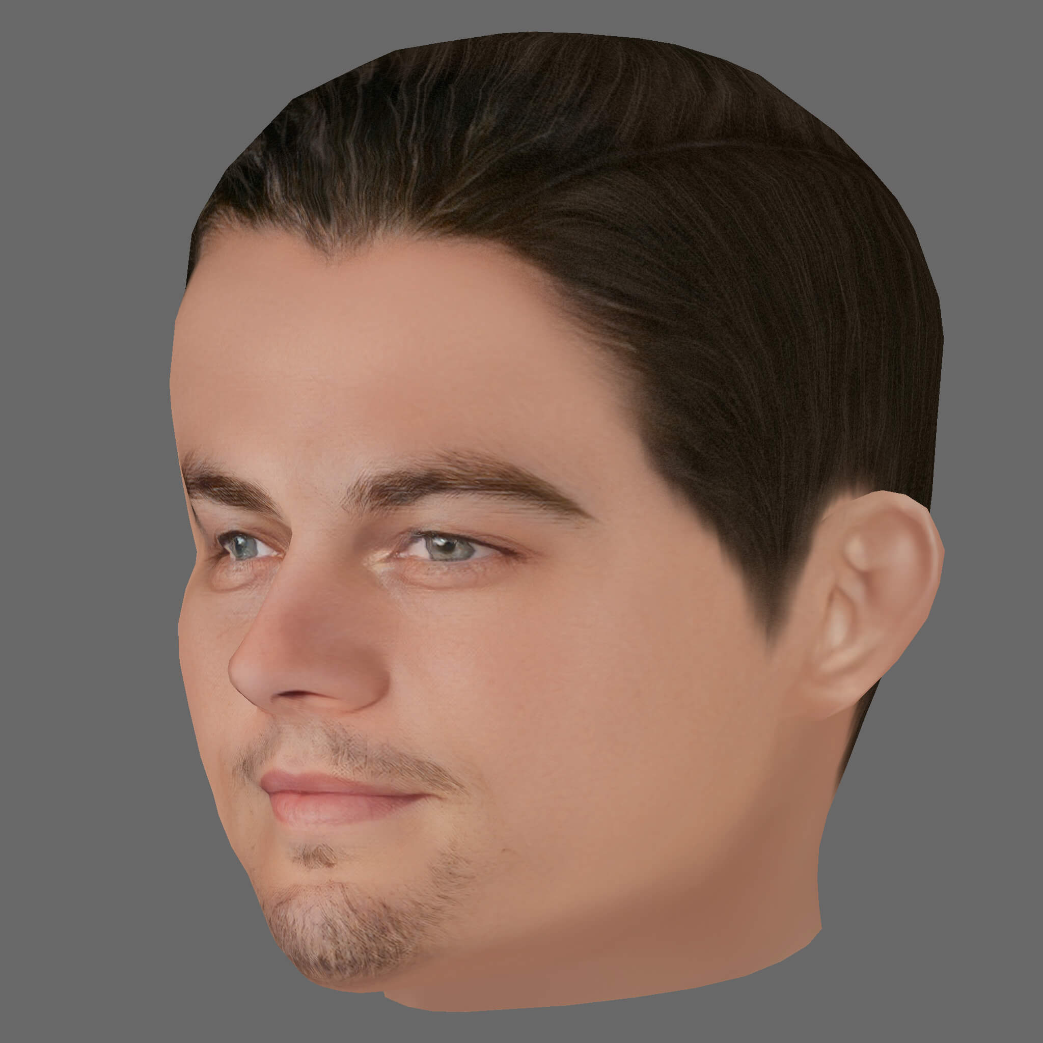 Leonardo DiCaprio Head - 3D Model by Nammichael