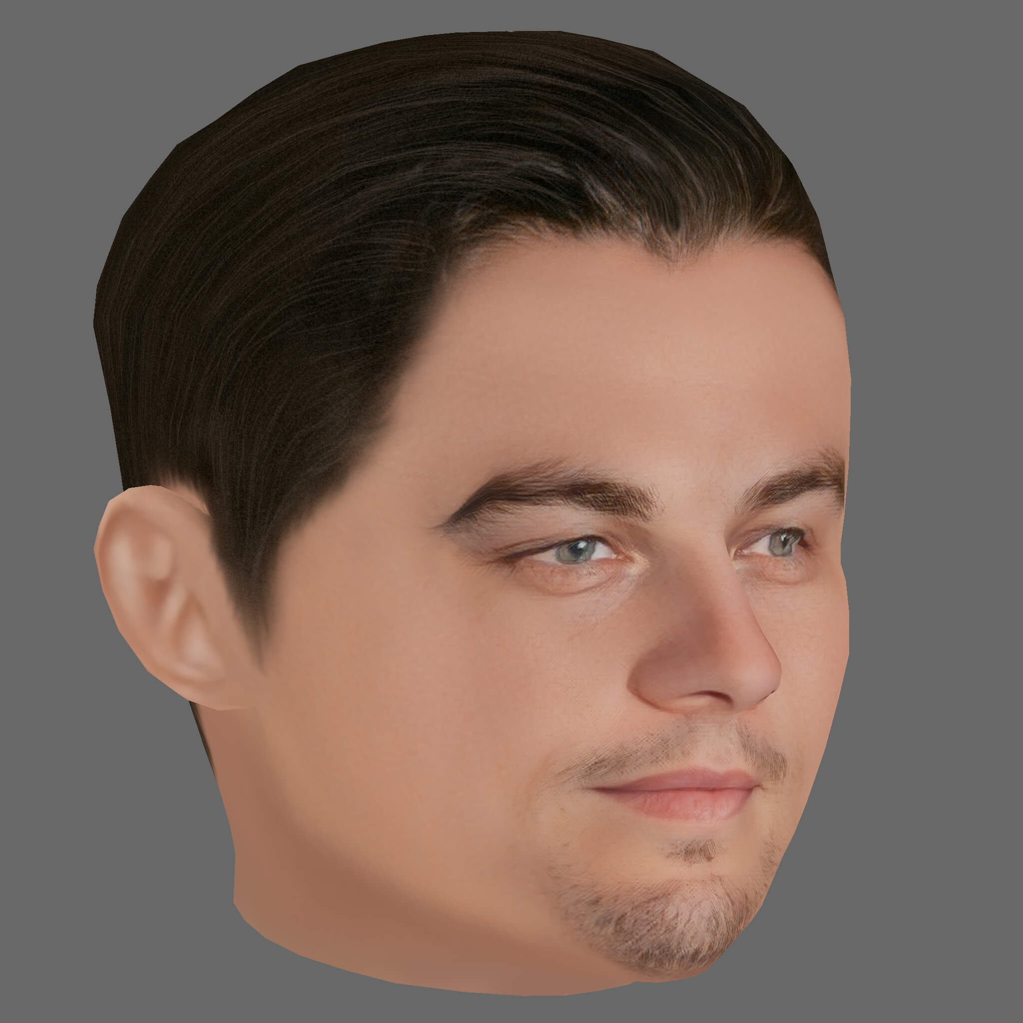 Leonardo DiCaprio Head - 3D Model by Nammichael